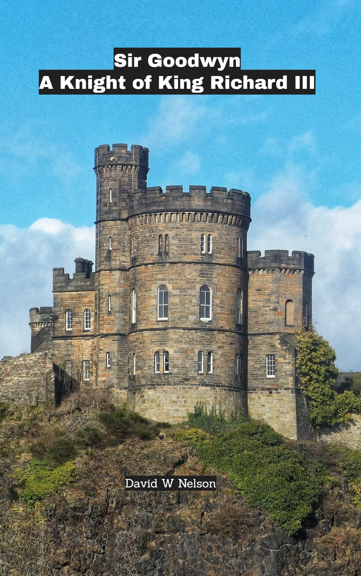 Thomas Goodwyn A Knight of King Richard III: Book 1 of the Sir Goodwyn ...