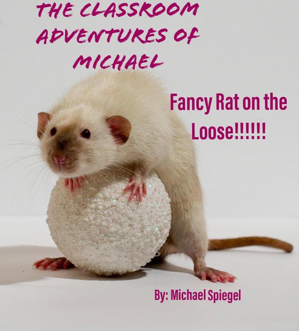 The Classroom Adventures of Michael: Fancy Rat on the Loose: Fancy Rat ...
