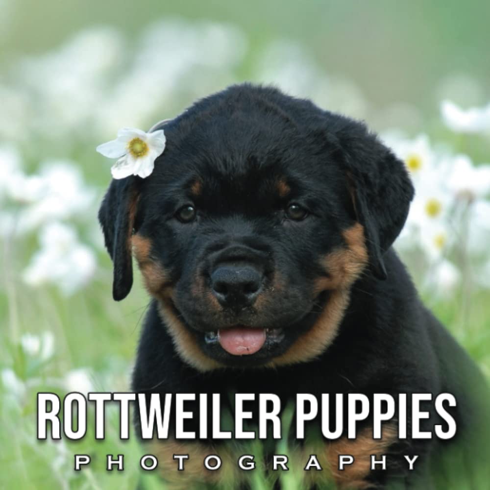 Rottweiler Puppies PhotoBook: An Amazing Collection With Compelling ...
