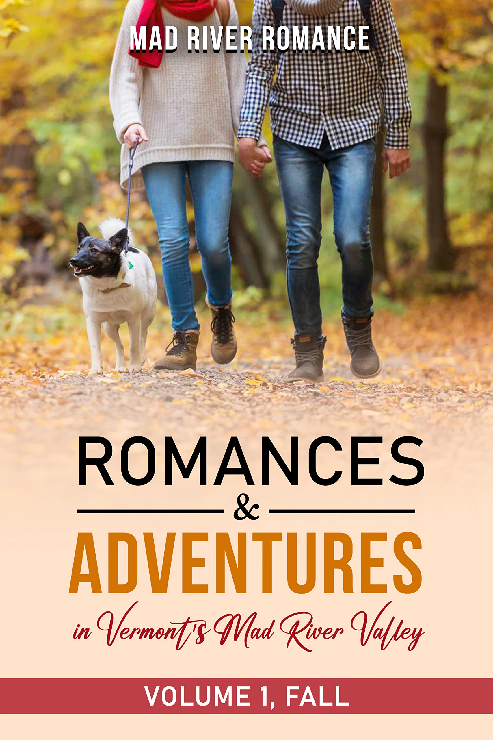 Romances and Adventures in Vermont's Mad River Valley, Volume 1: Cozy ...