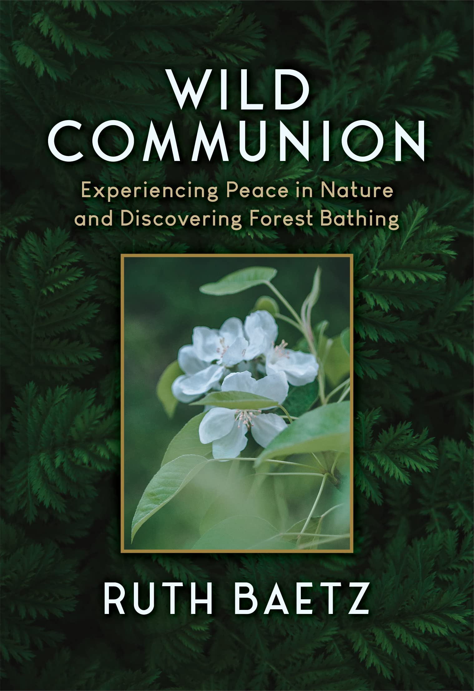 Wild Communion: Experiencing Peace in Nature and Discovering Forest ...