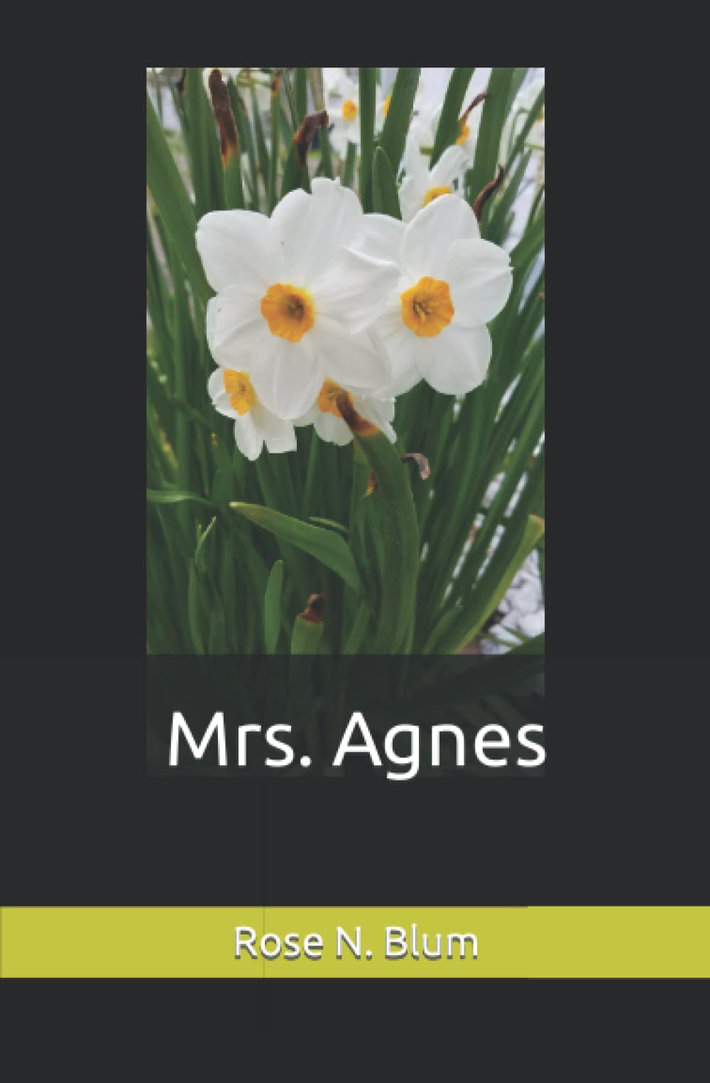 Mrs. Agnes by Rose N. Blum | Goodreads