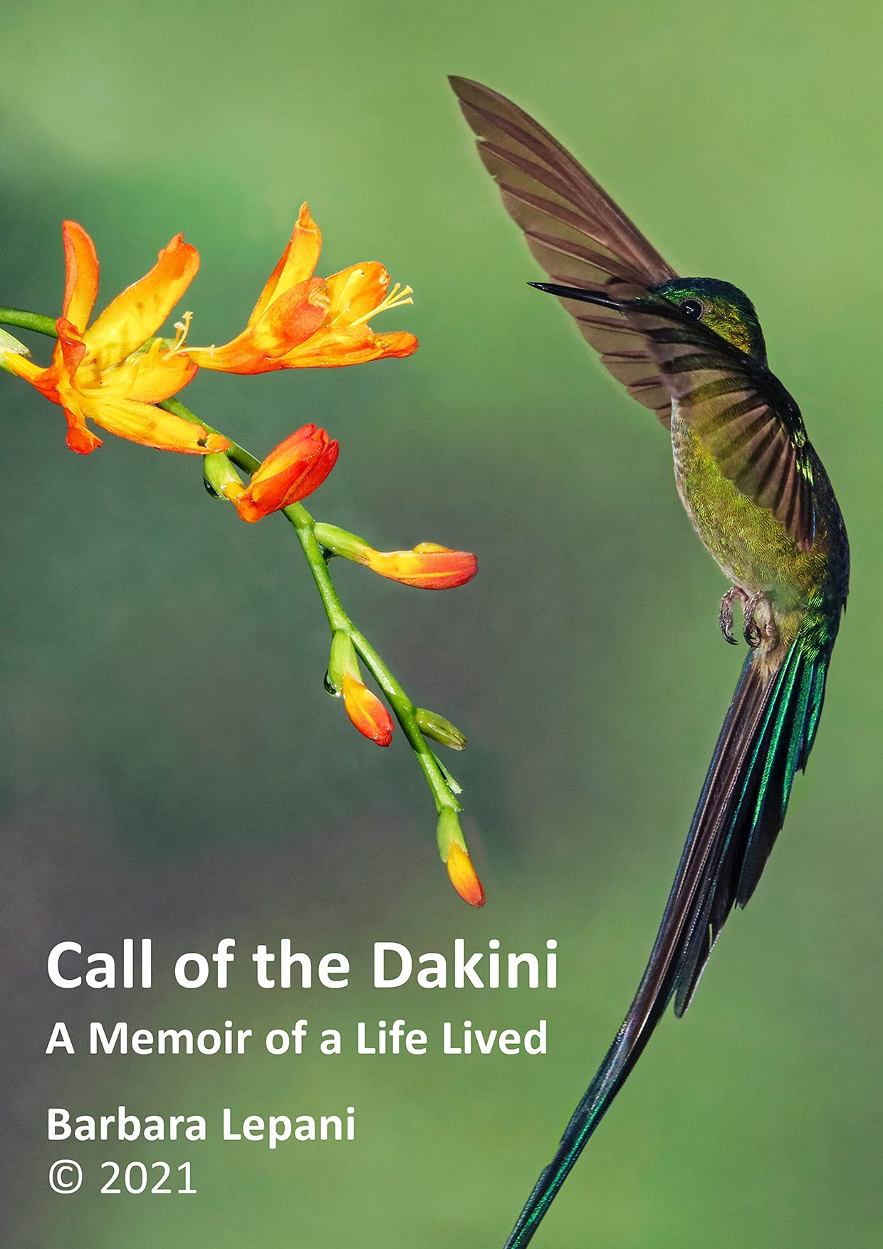 Call of the Dakini: A Memoir of a Life Lived by Barbara Lepani | Goodreads