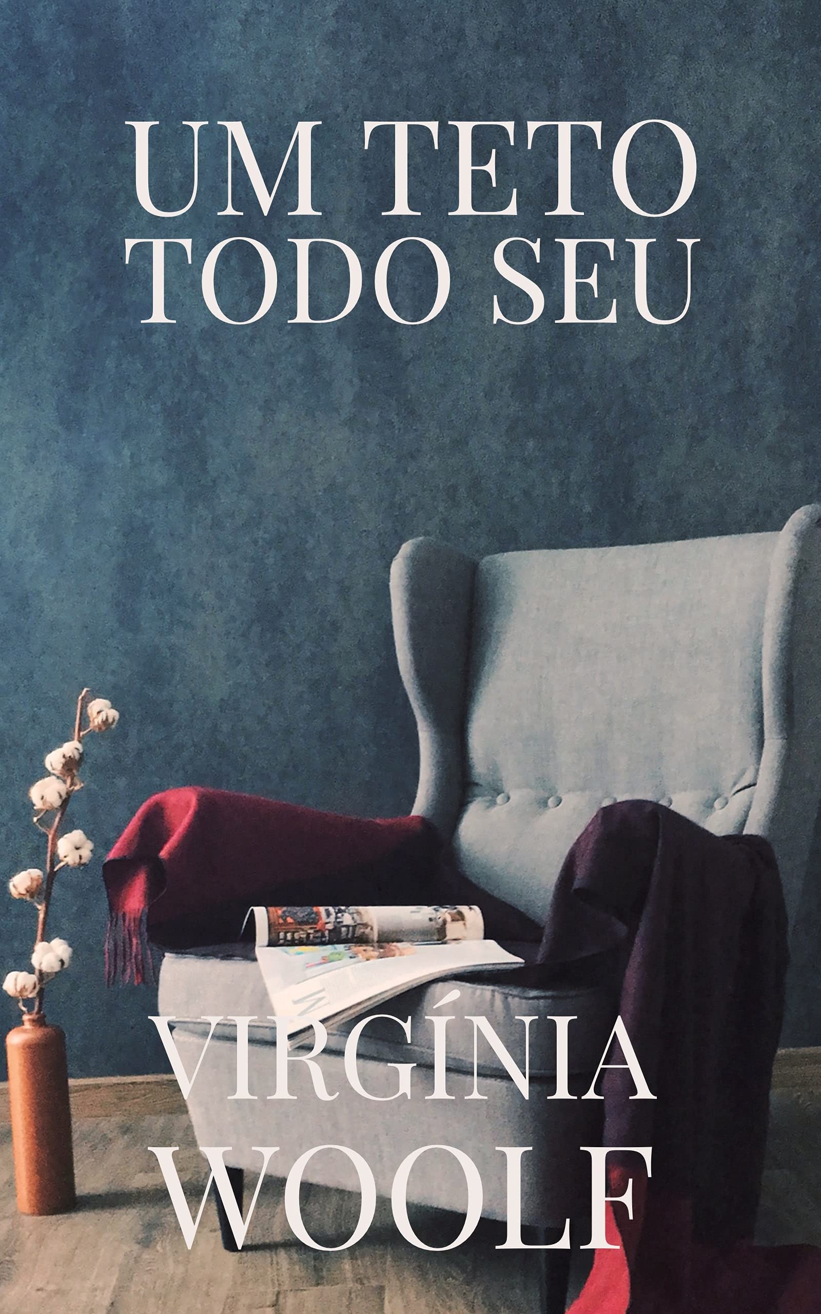 UM TETO TODO SEU by Virginia Woolf | Goodreads