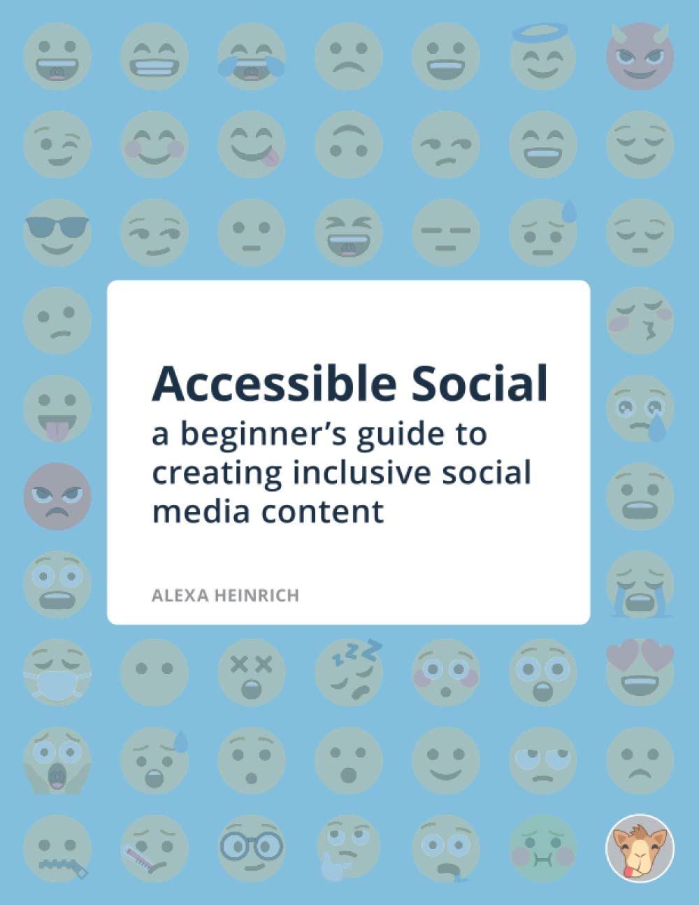 Accessible Social: A beginner's guide to creating inclusive social ...