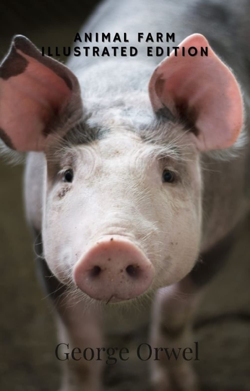 Animal Farm by George Orwel illustrated edition by George Orwell ...