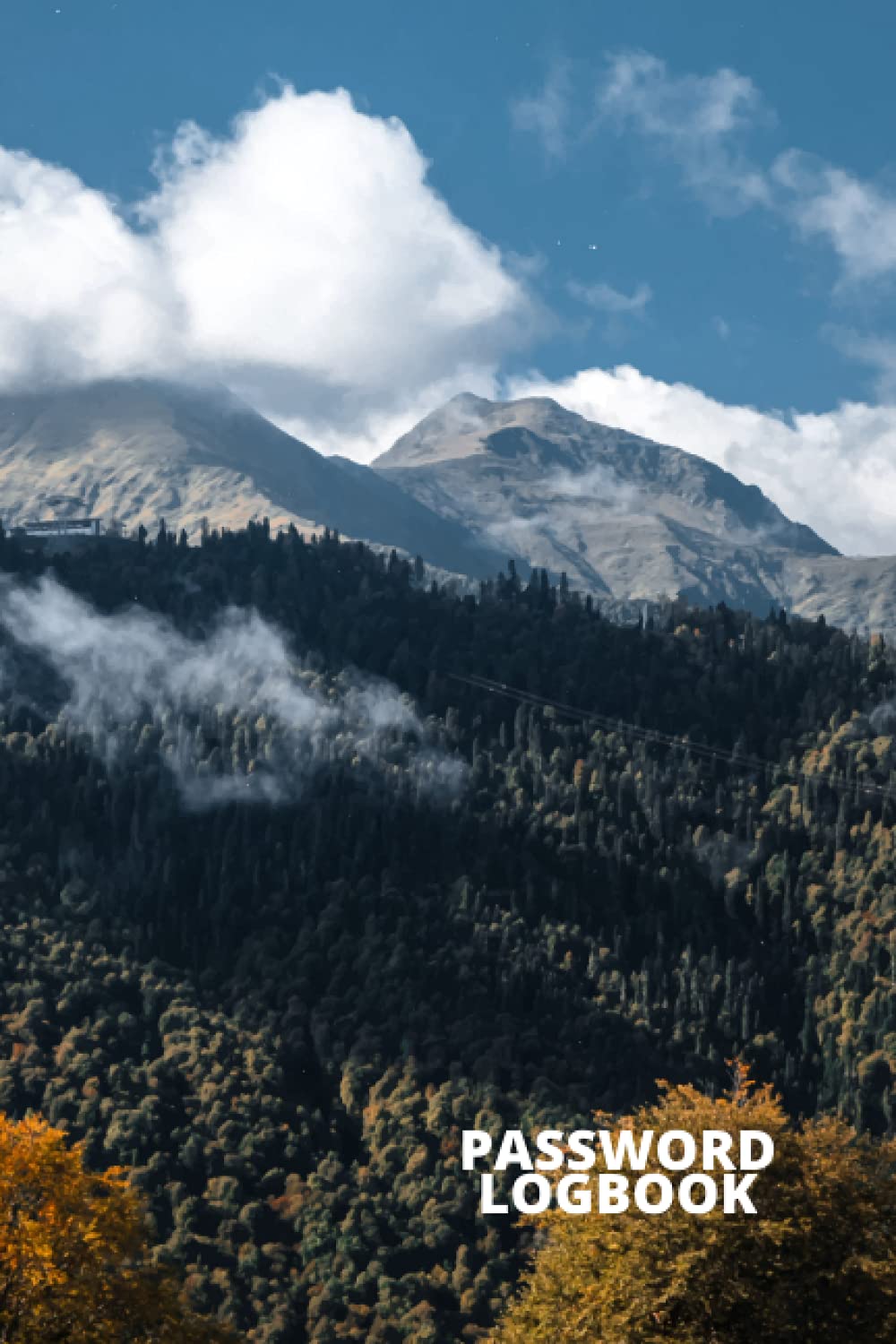 Password Logbook: A Premium Journal And Logbook To Protect Usernames ...