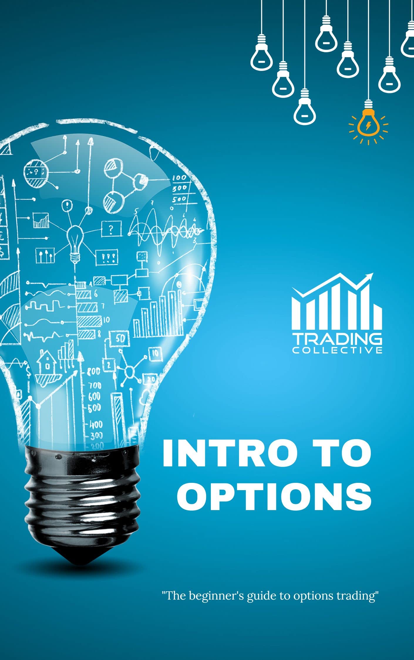 Intro to Options: The beginner's guide to options trading by CJ Hogg ...