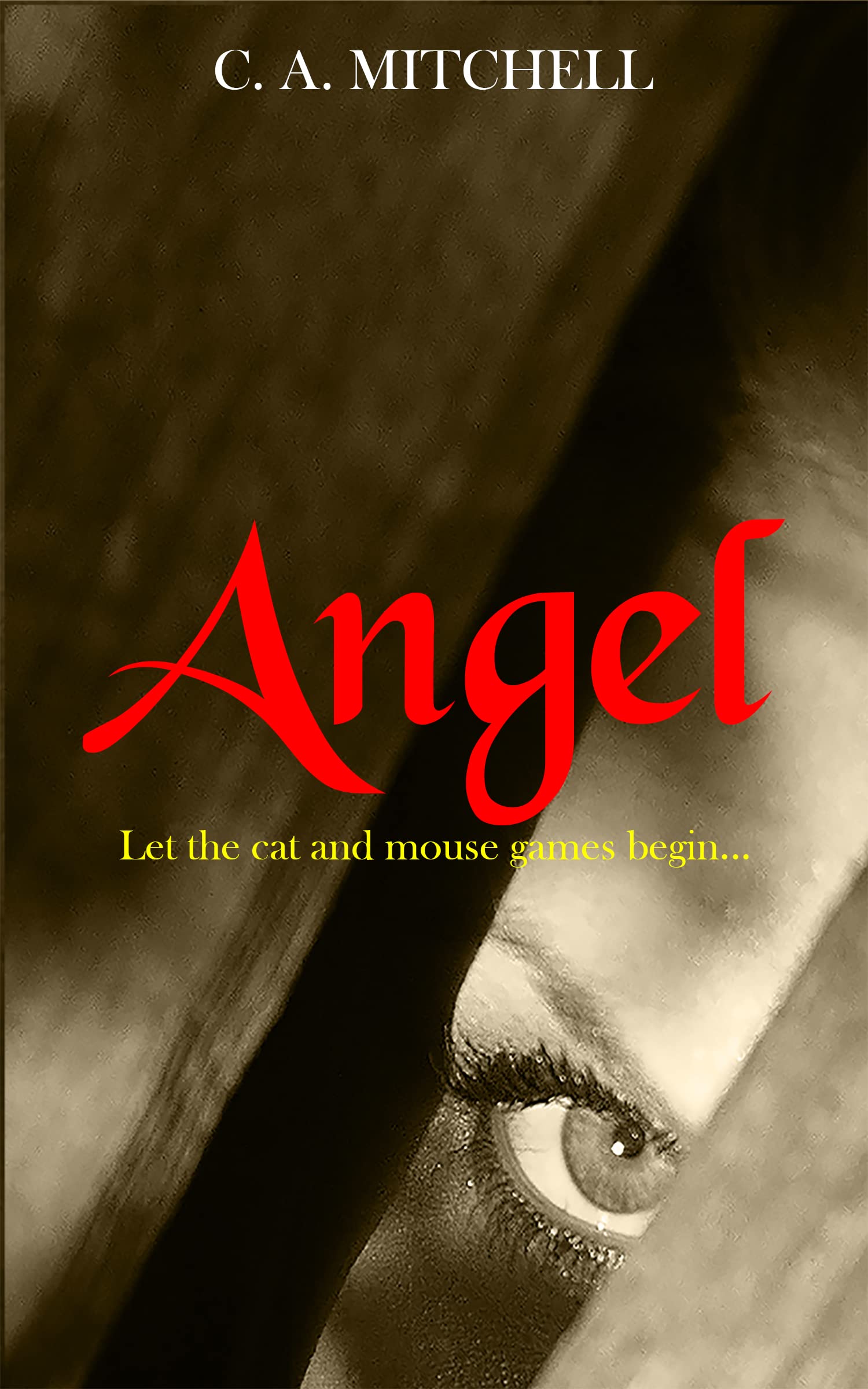 Angel: A thrilling psychological story of deceit and manipulation... by ...