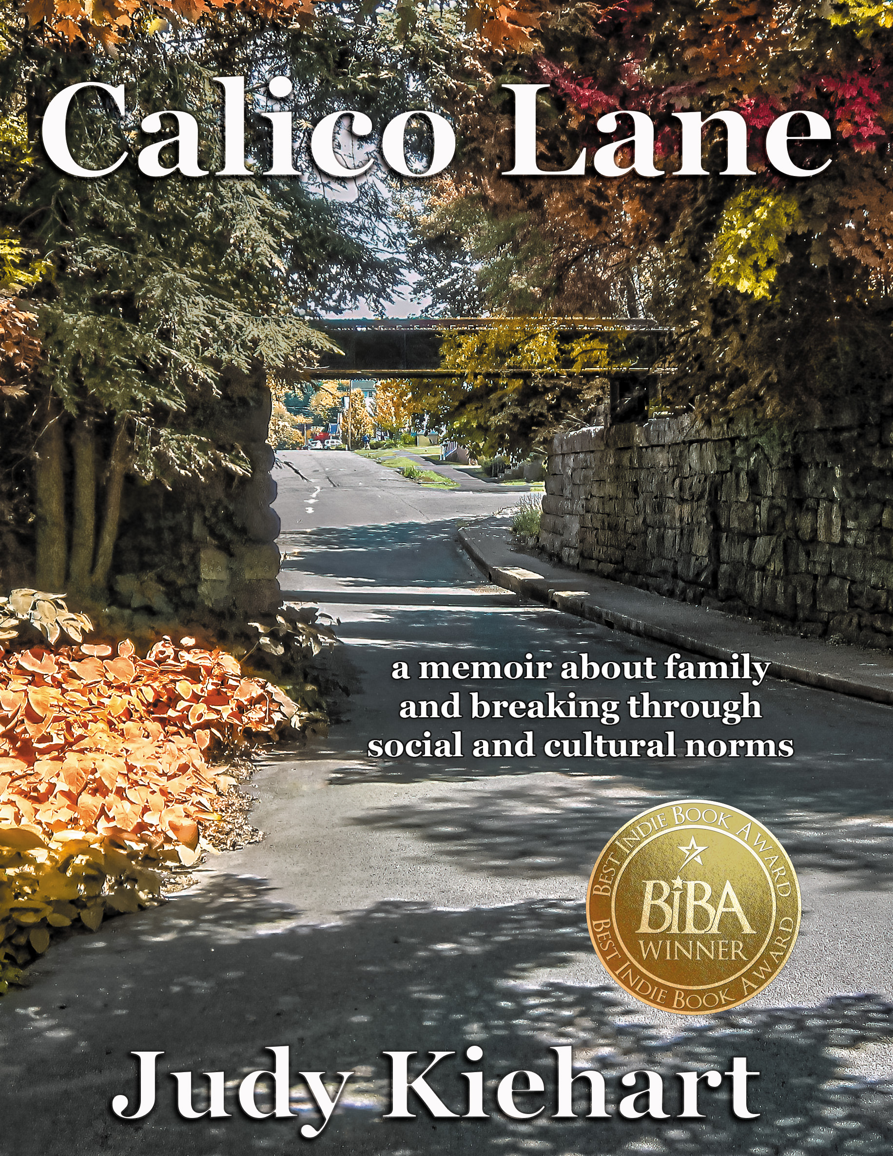 Calico Lane by Judy Kiehart | Goodreads
