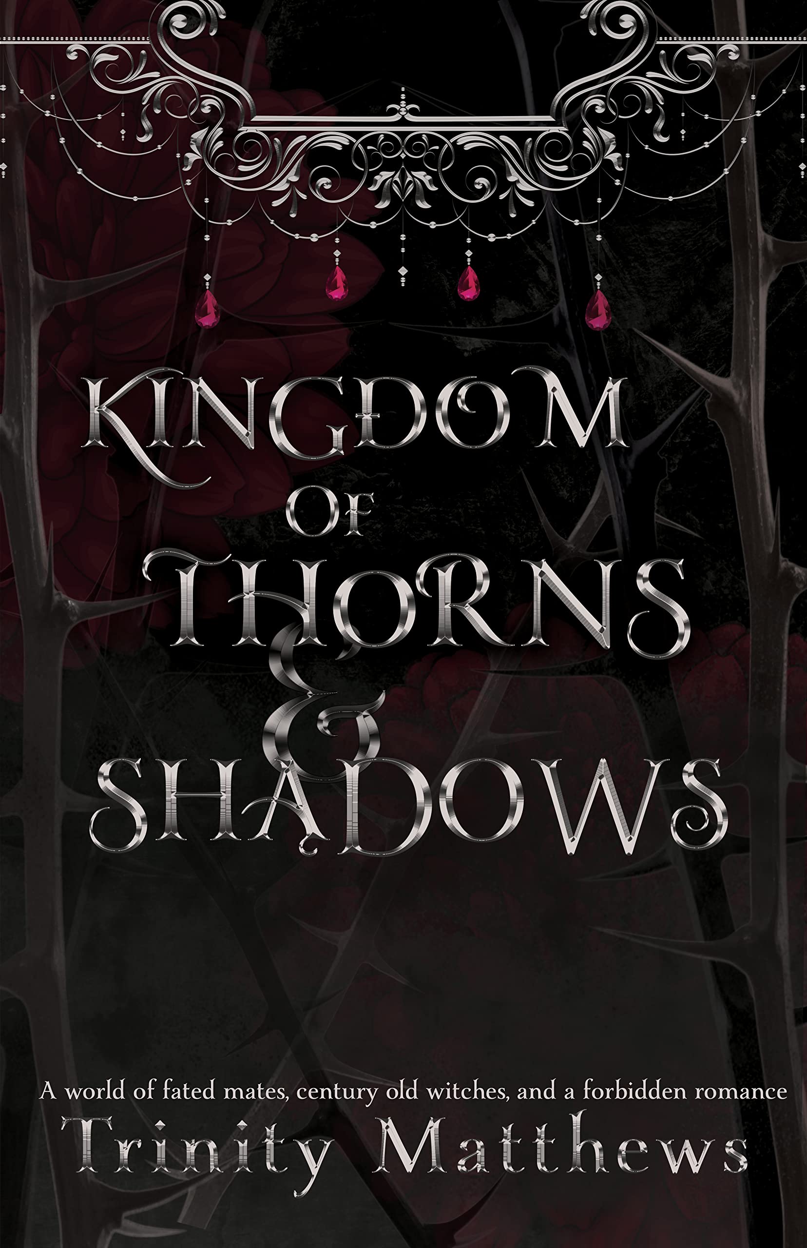 Kingdom of Thorns & Shadows by Trinity Matthews | Goodreads