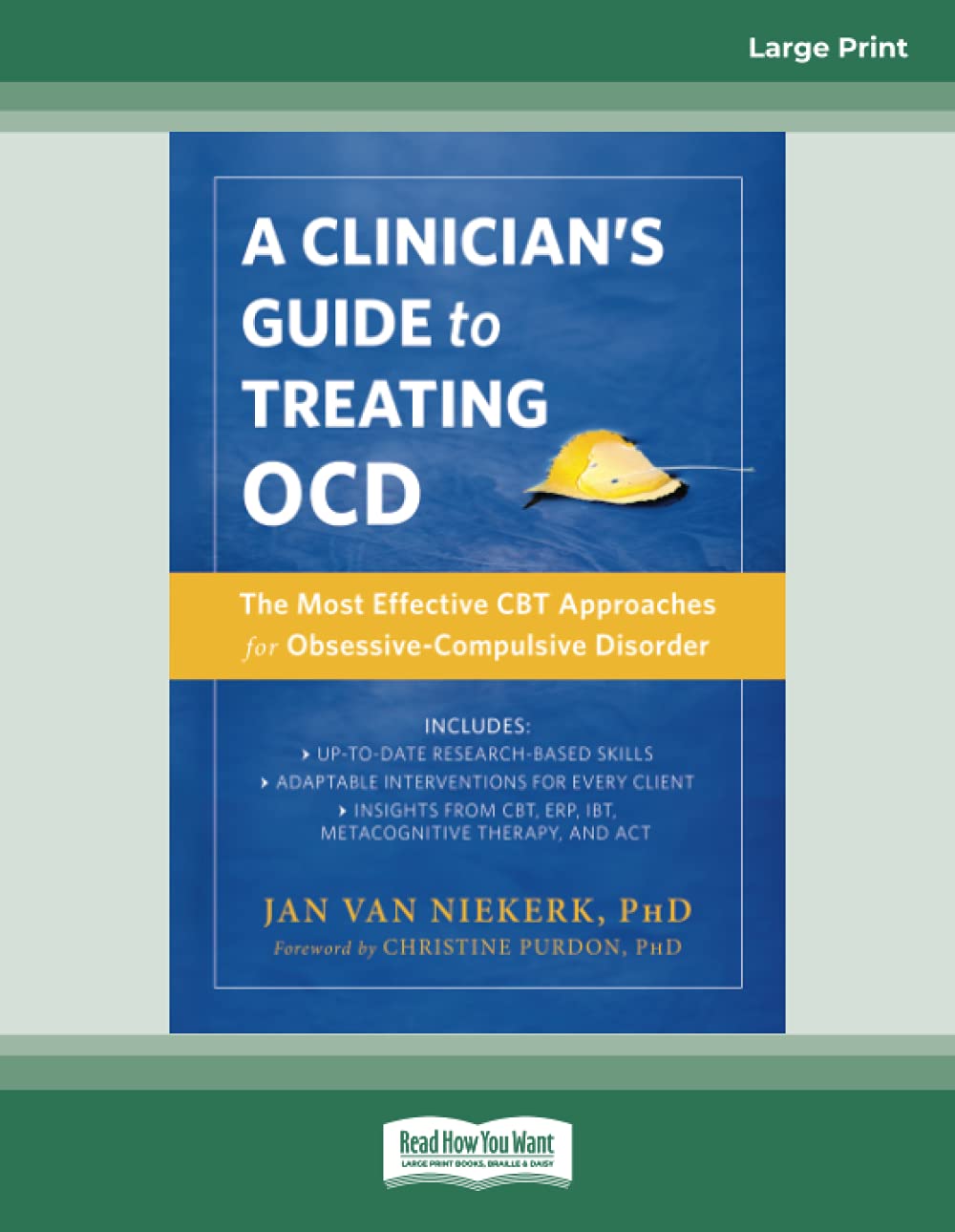 Clinician's Guide to Treating OCD: The Most Effective CBT Approaches ...