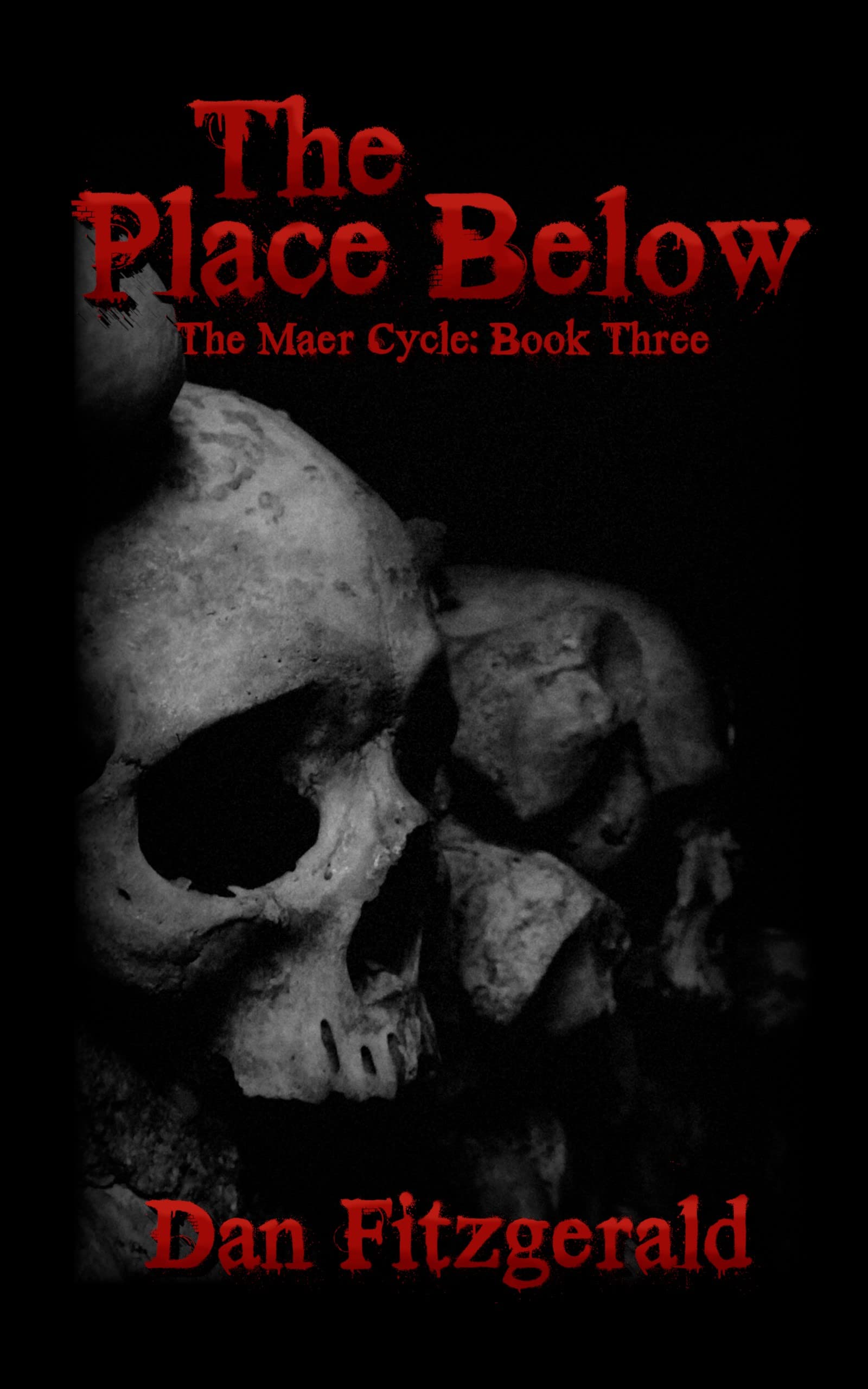 The Place Below (The Maer Cycle Book 3) by Dani Finn | Goodreads
