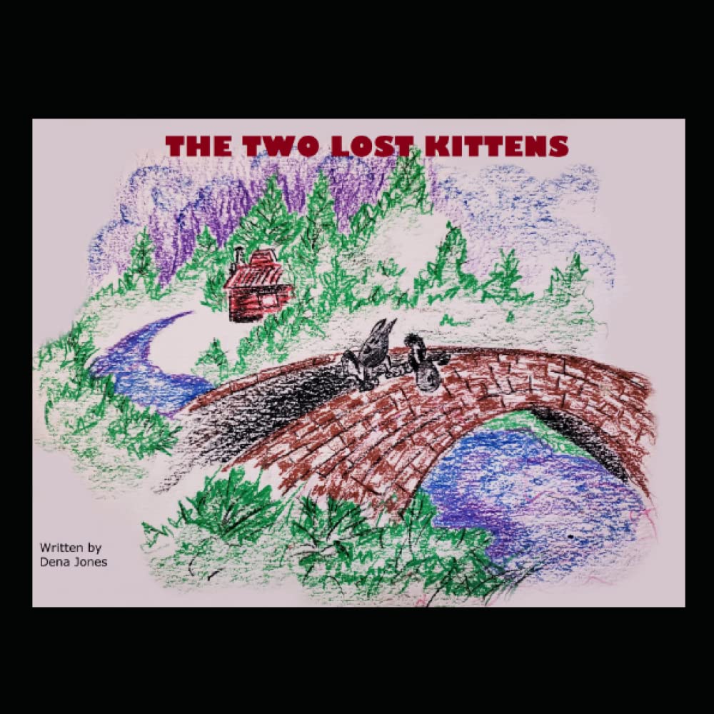 The Two Lost Kittens: Plus create your own storybook by Dena Jones ...