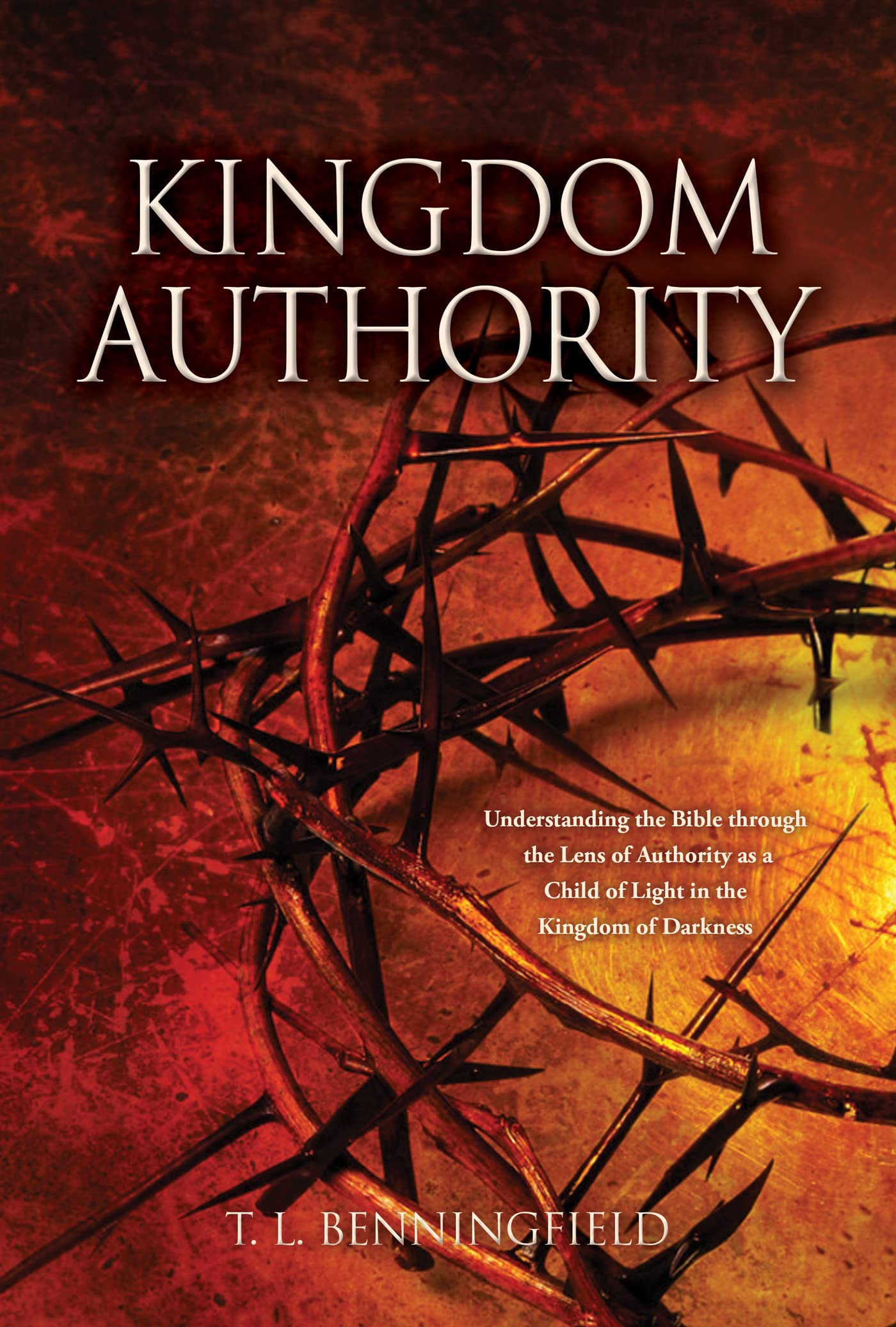 KINGDOM AUTHORITY: Understanding the Bible through the Lens of ...