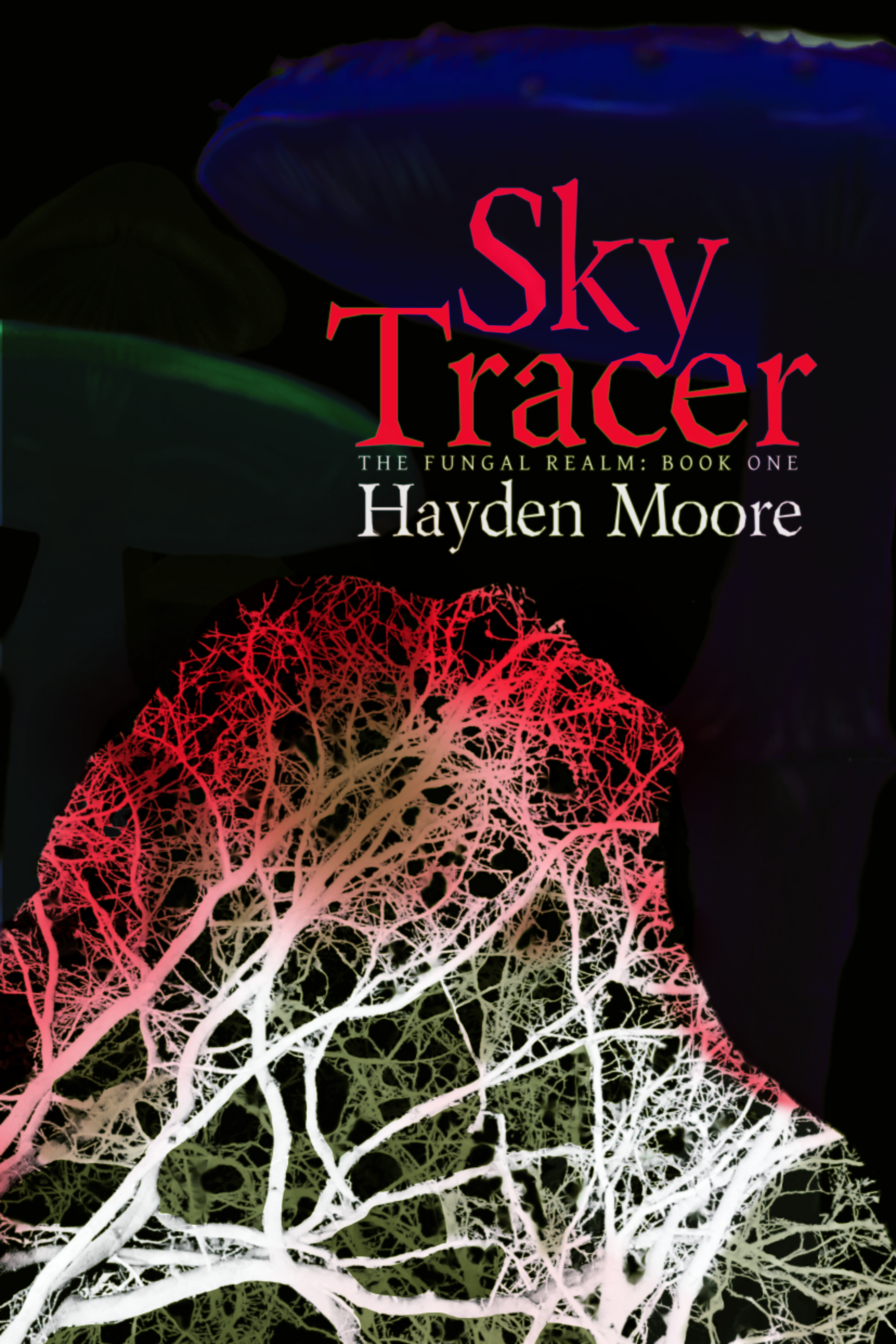 Sky Tracer by Hayden Moore | Goodreads