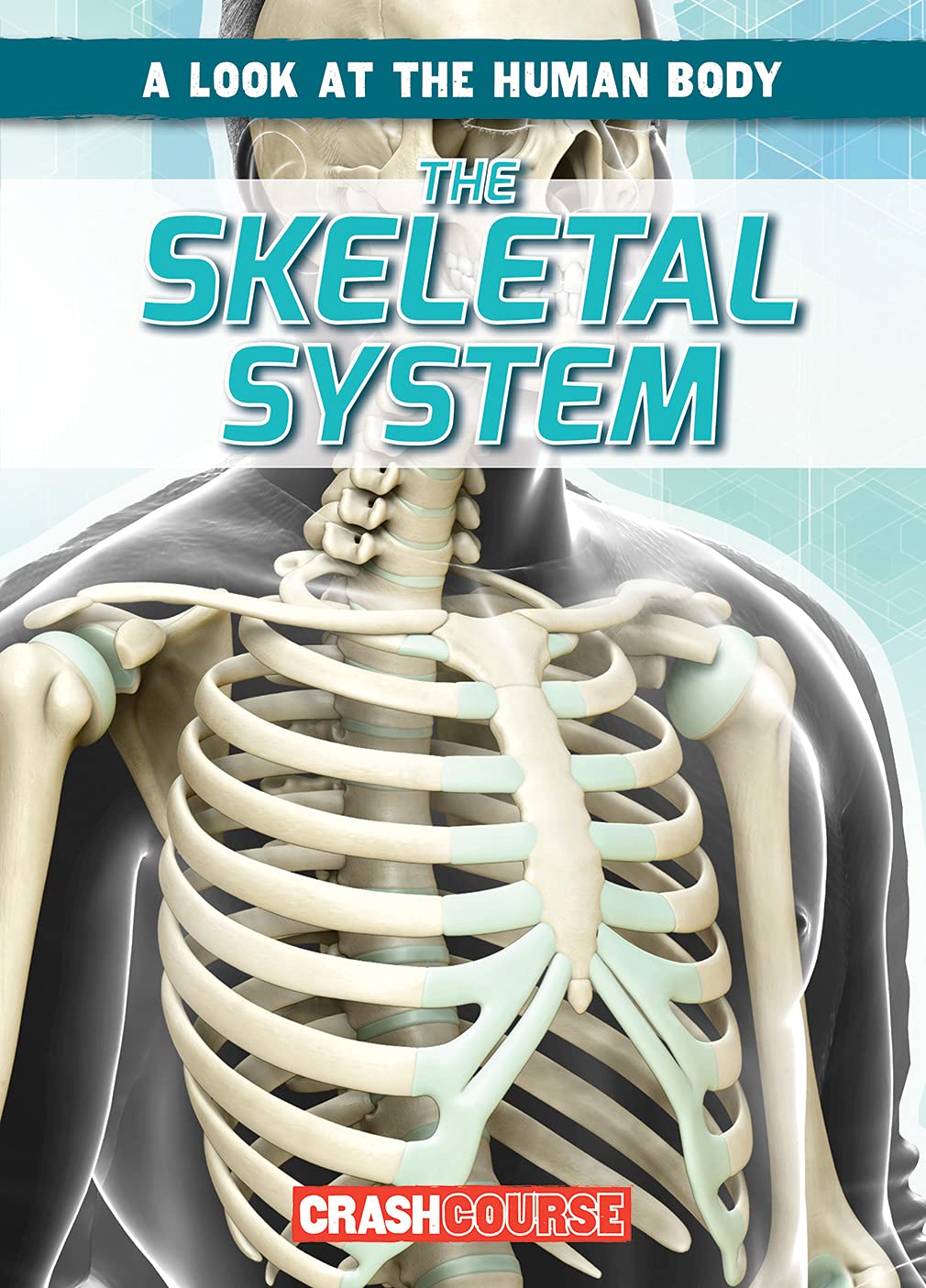 The Skeletal System (A Look at the Human Body) by Jonas Edwards | Goodreads