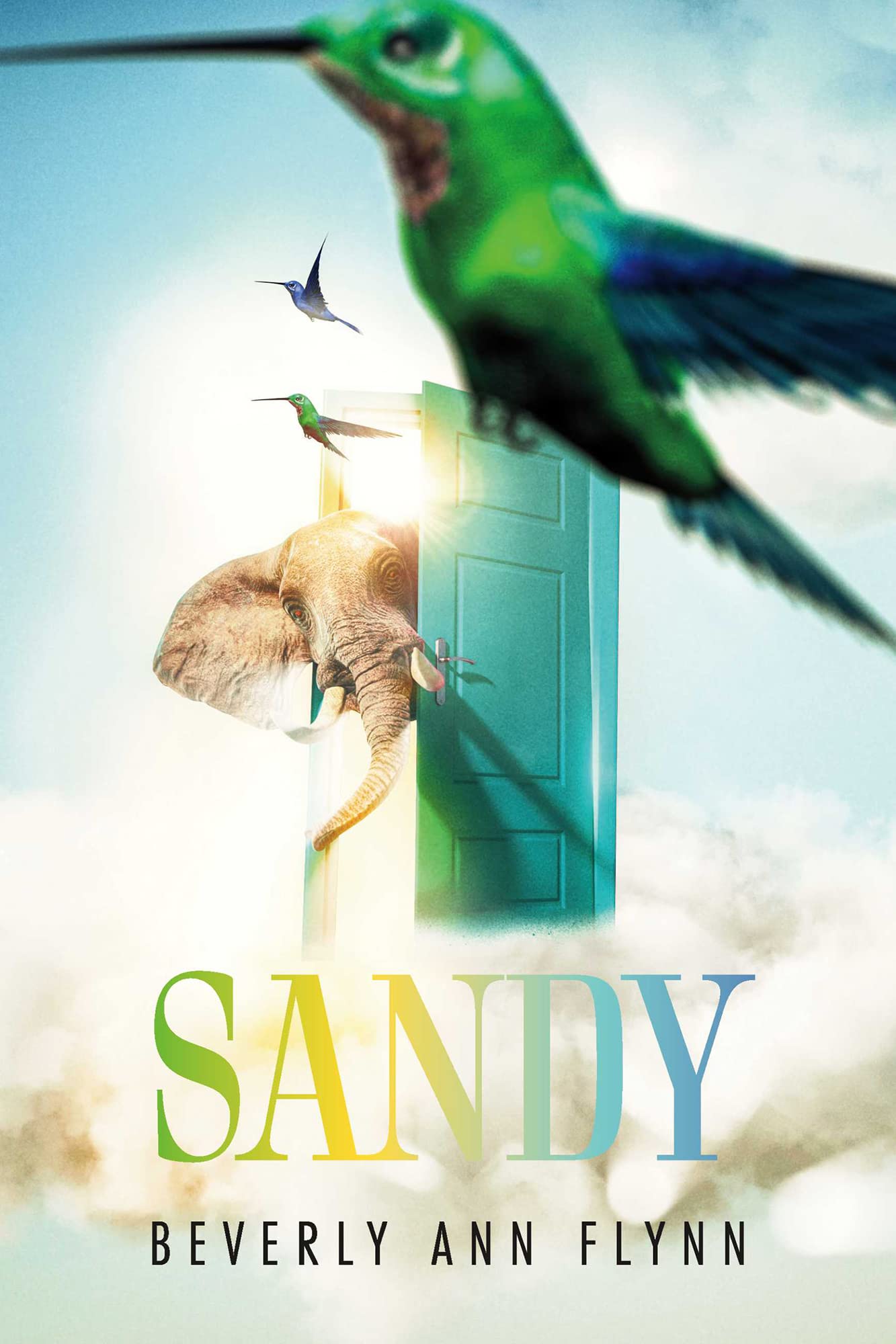 Sandy by Beverly Ann Flynn | Goodreads