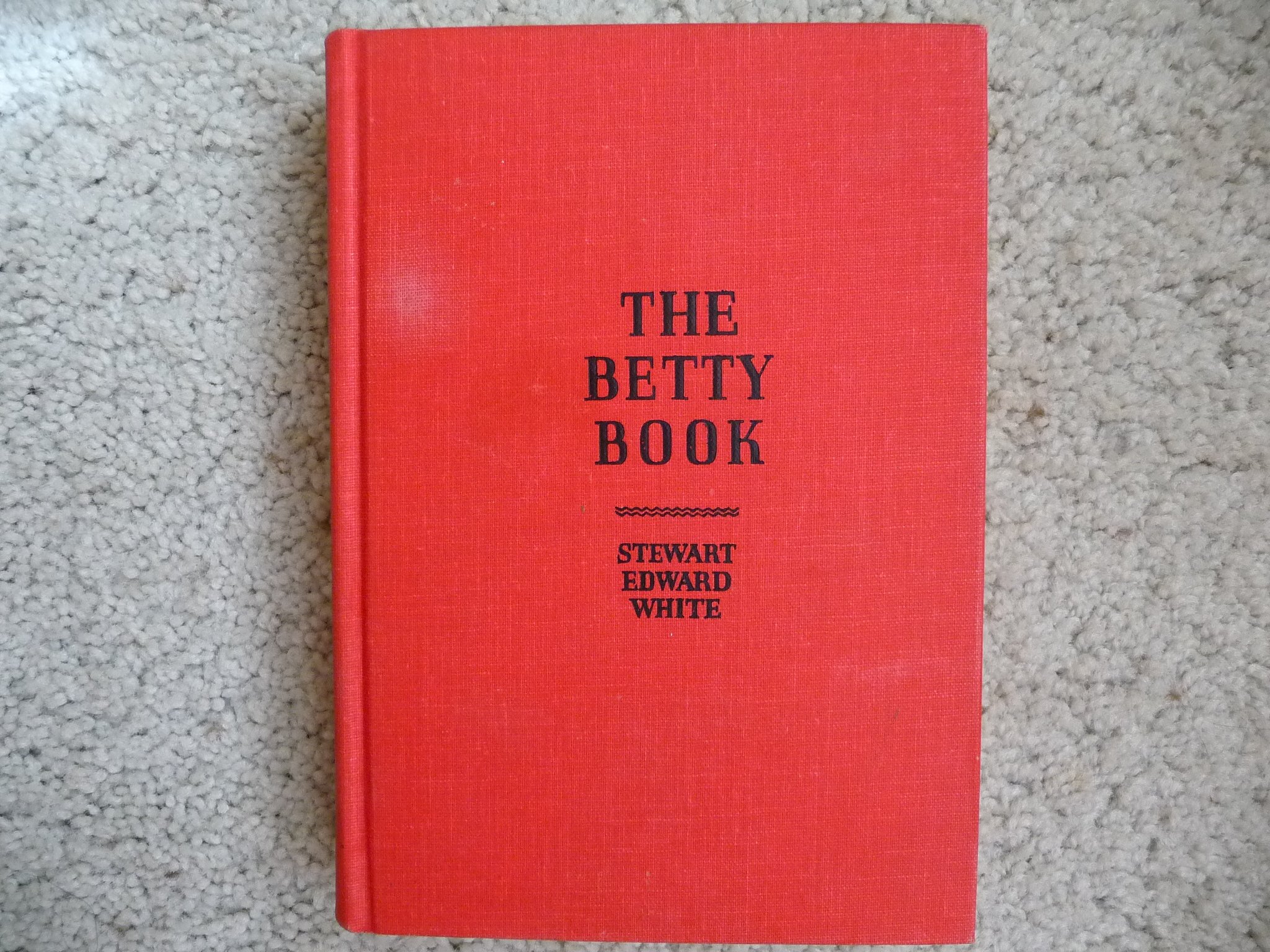 The Betty Book: Excursions into the World of Other-Consciousness Made ...