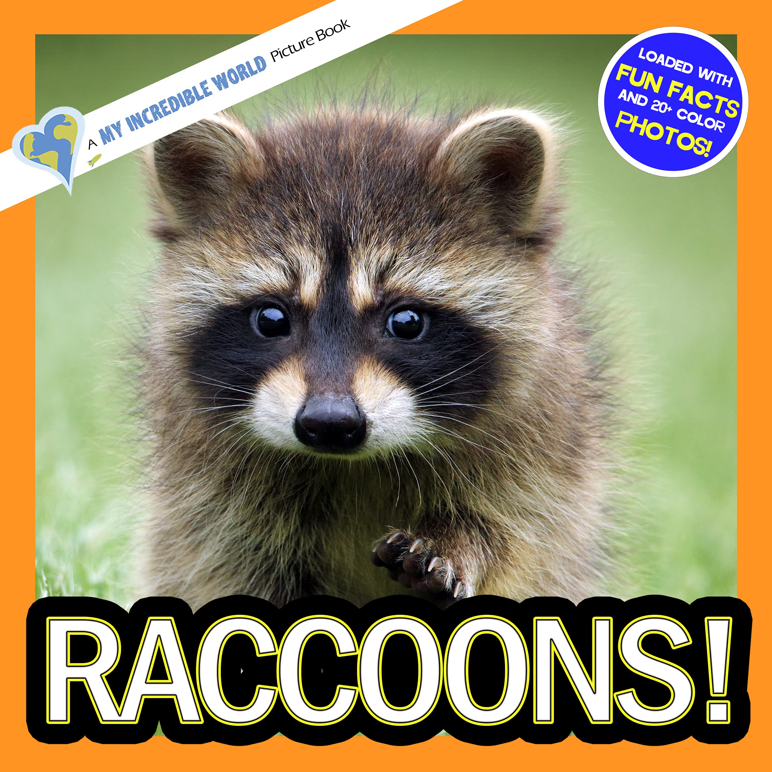 Raccoons!: A My Incredible World Picture Book for Children by My ...