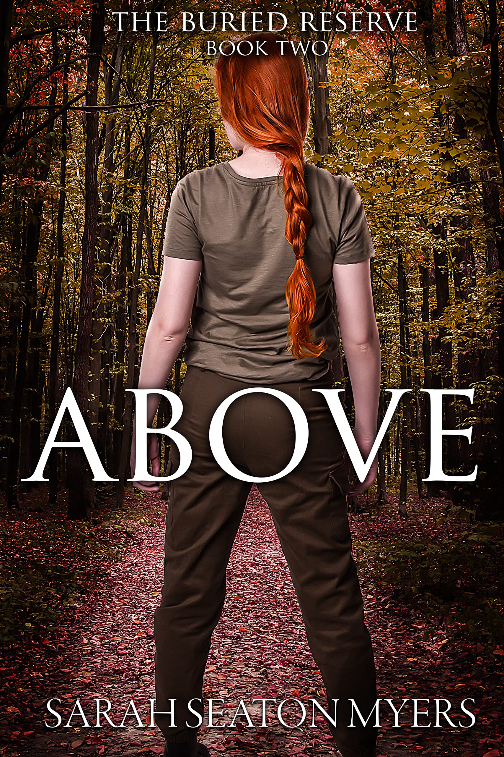 Above (The Buried Reserve Book 2) by Sarah Seaton Myers | Goodreads