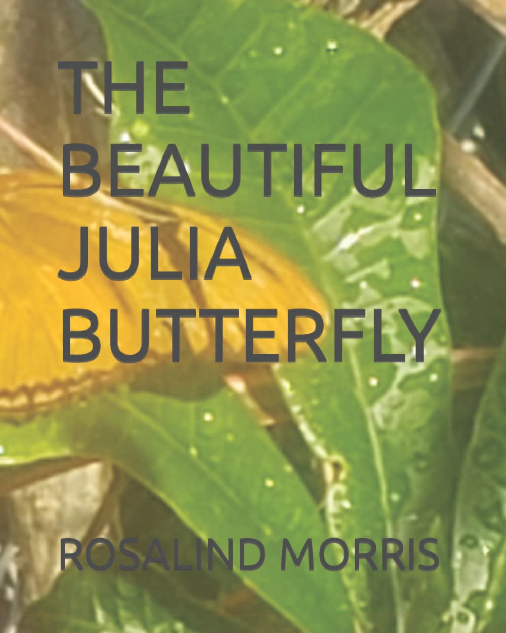 THE BEAUTIFUL JULIA BUTTERFLY by Rosalind YVETTE Morris | Goodreads
