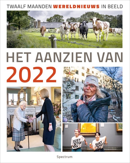 Het aanzien van 2022 by Han van Bree | Goodreads