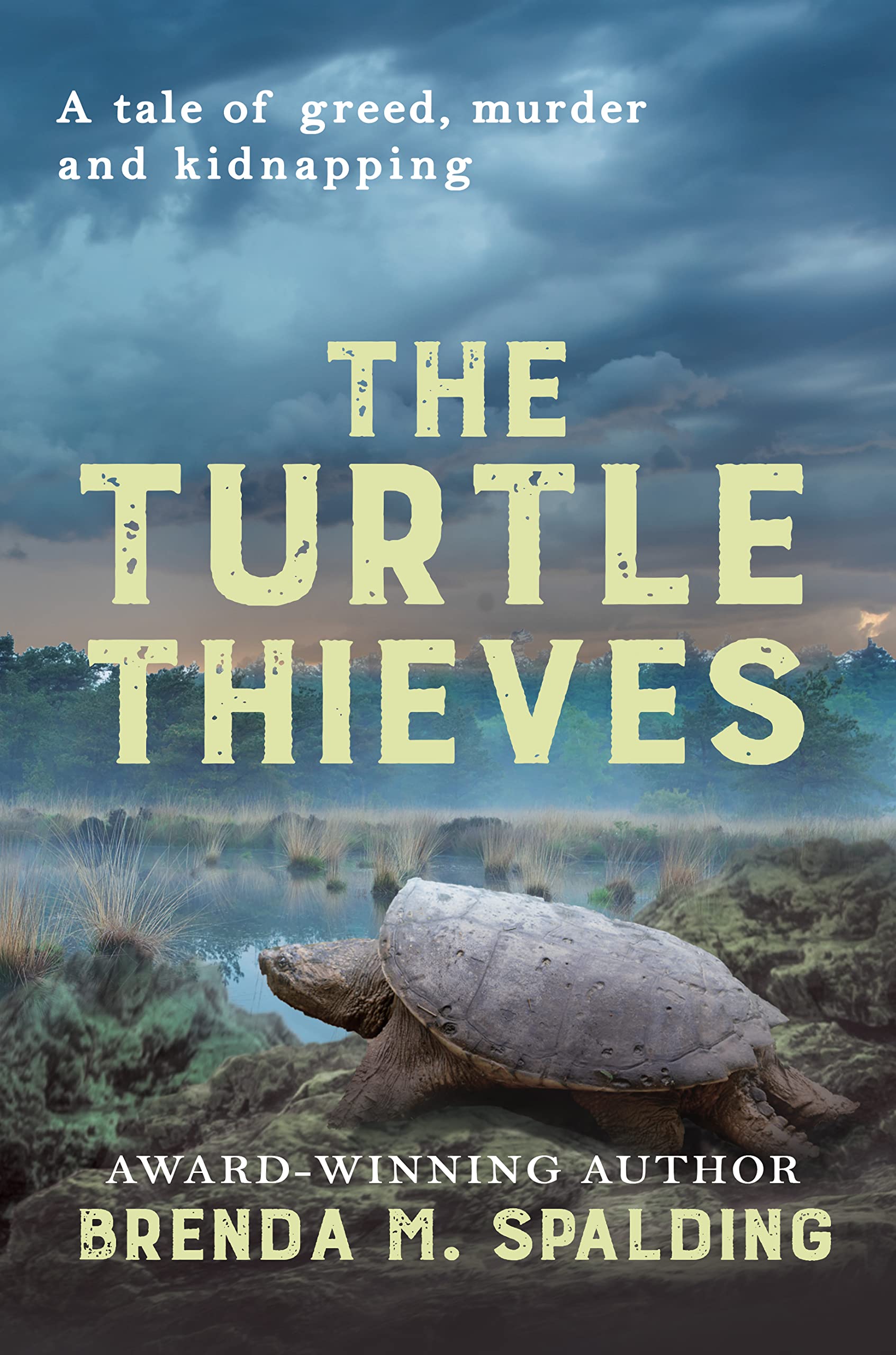 The turtle thieves by Brenda Spalding | Goodreads