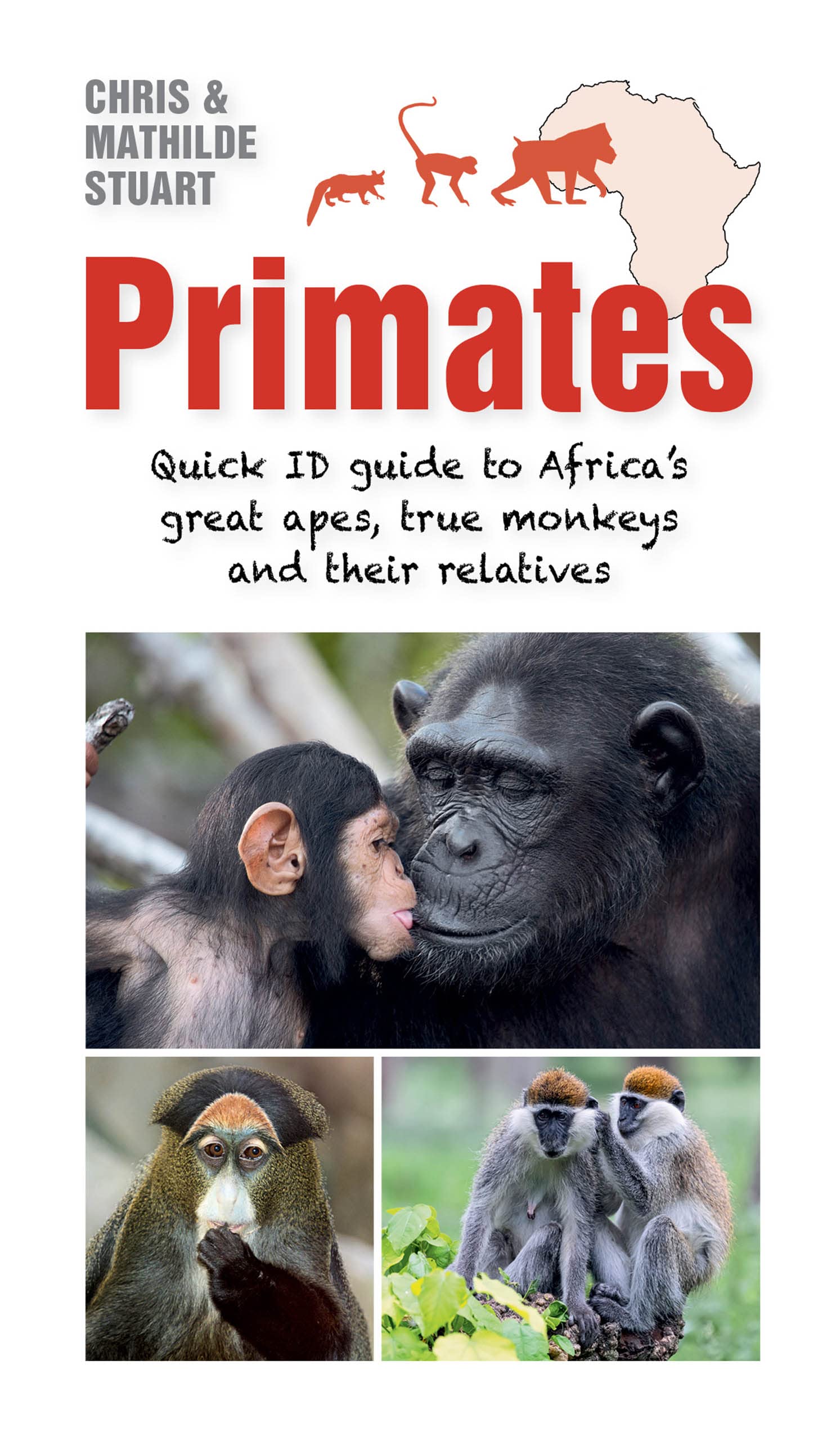 Primates: Quick ID Guide to Africa’s great apes, true monkeys and their ...