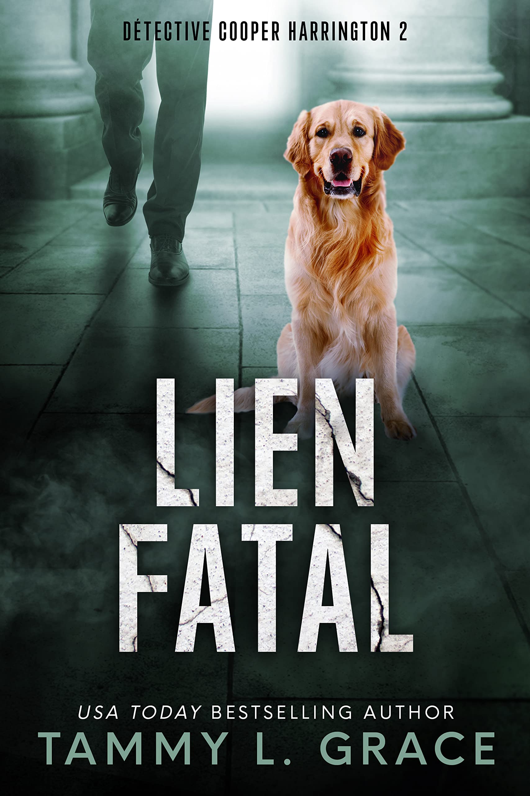 Lien fatal (Détective Cooper Harrington t. 2) by Tammy L. Grace | Goodreads