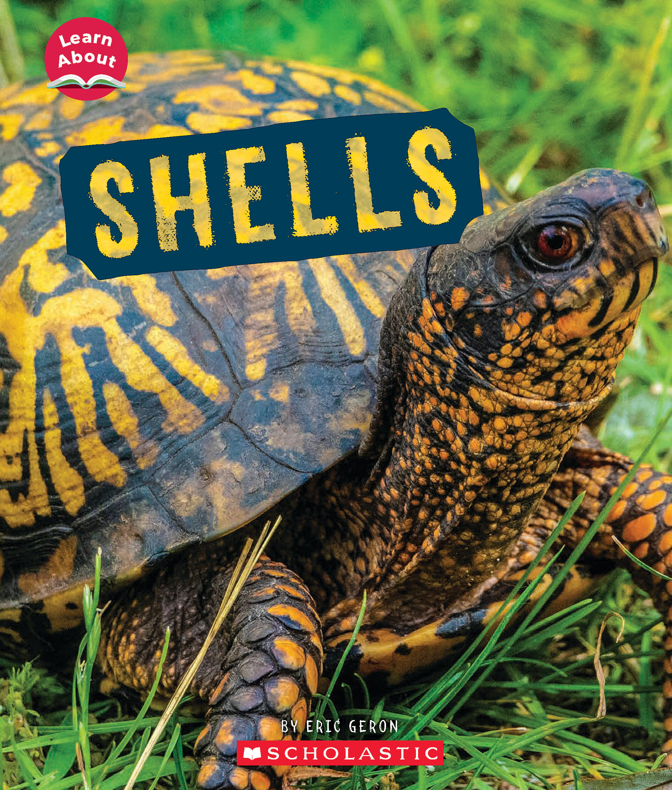 Shells (Learn About: Animal Coverings) by Eric Geron | Goodreads