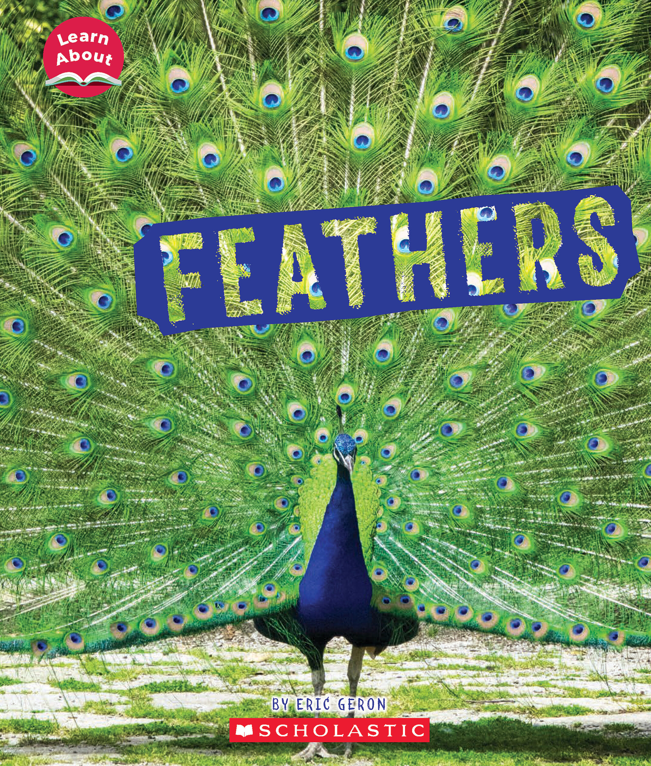 Feathers (Learn About: Animal Coverings) by Eric Geron | Goodreads