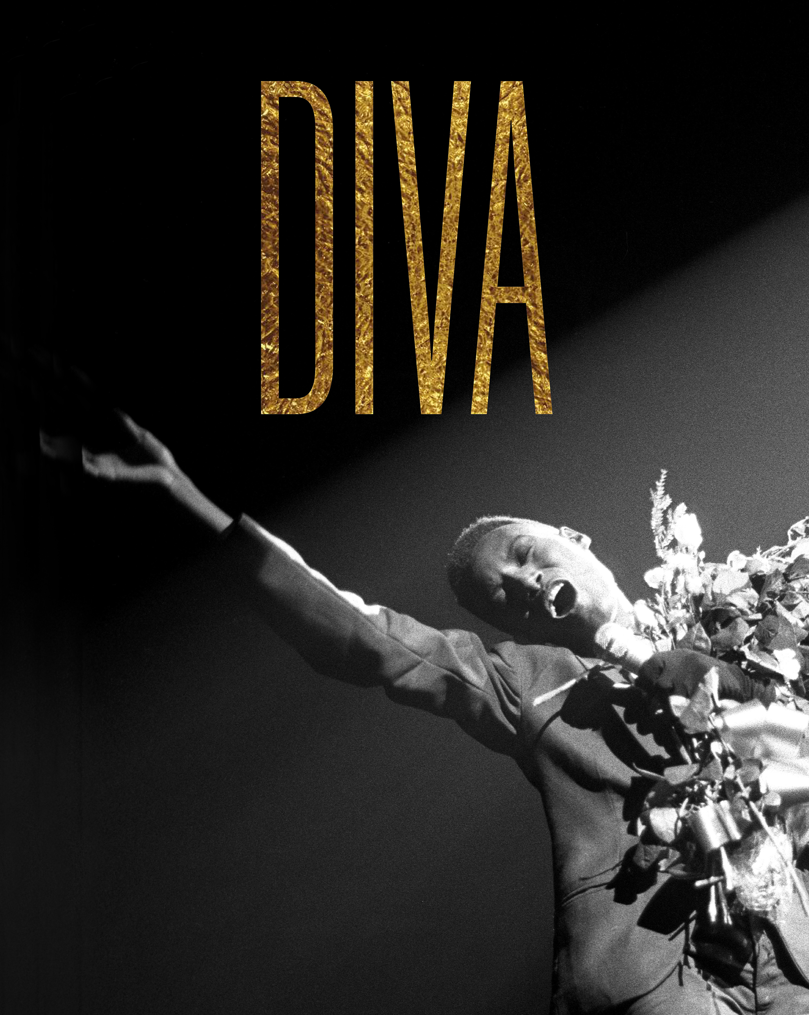 Diva: An Illustrated Guide to the Glamorous Personalities of Prima ...