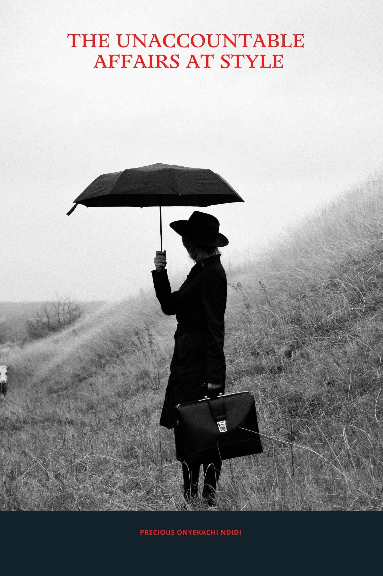 The unaccountable affairs at styles by Precious Ndidi | Goodreads