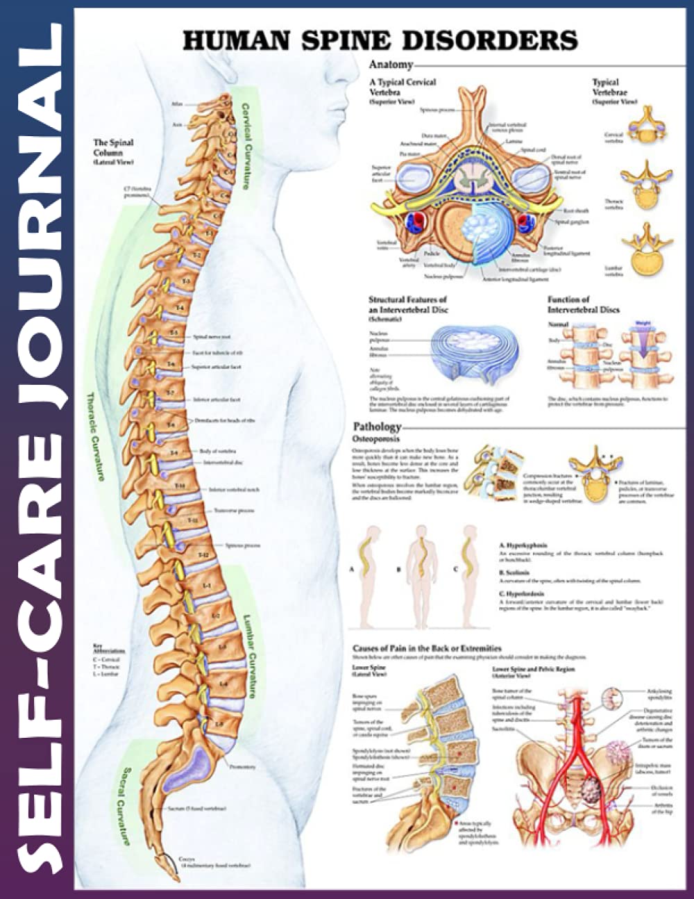 Self Care Journal: human spine disorder chiropractic Invest few minutes ...