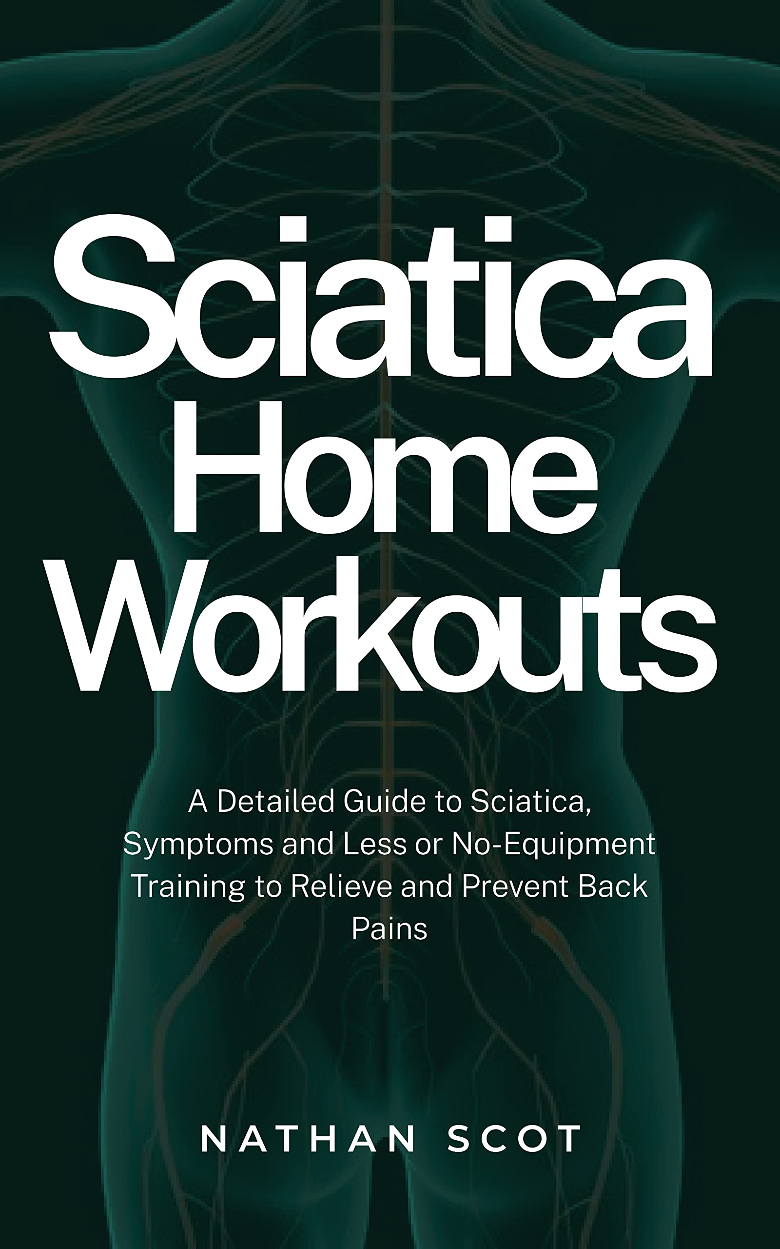 Sciatica Home Workouts: A Detailed Guide to Sciatica, Symptoms and Less ...
