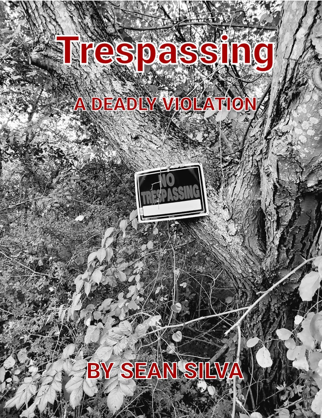 Trespassing, A Deadly Violation by Sean Silva | Goodreads