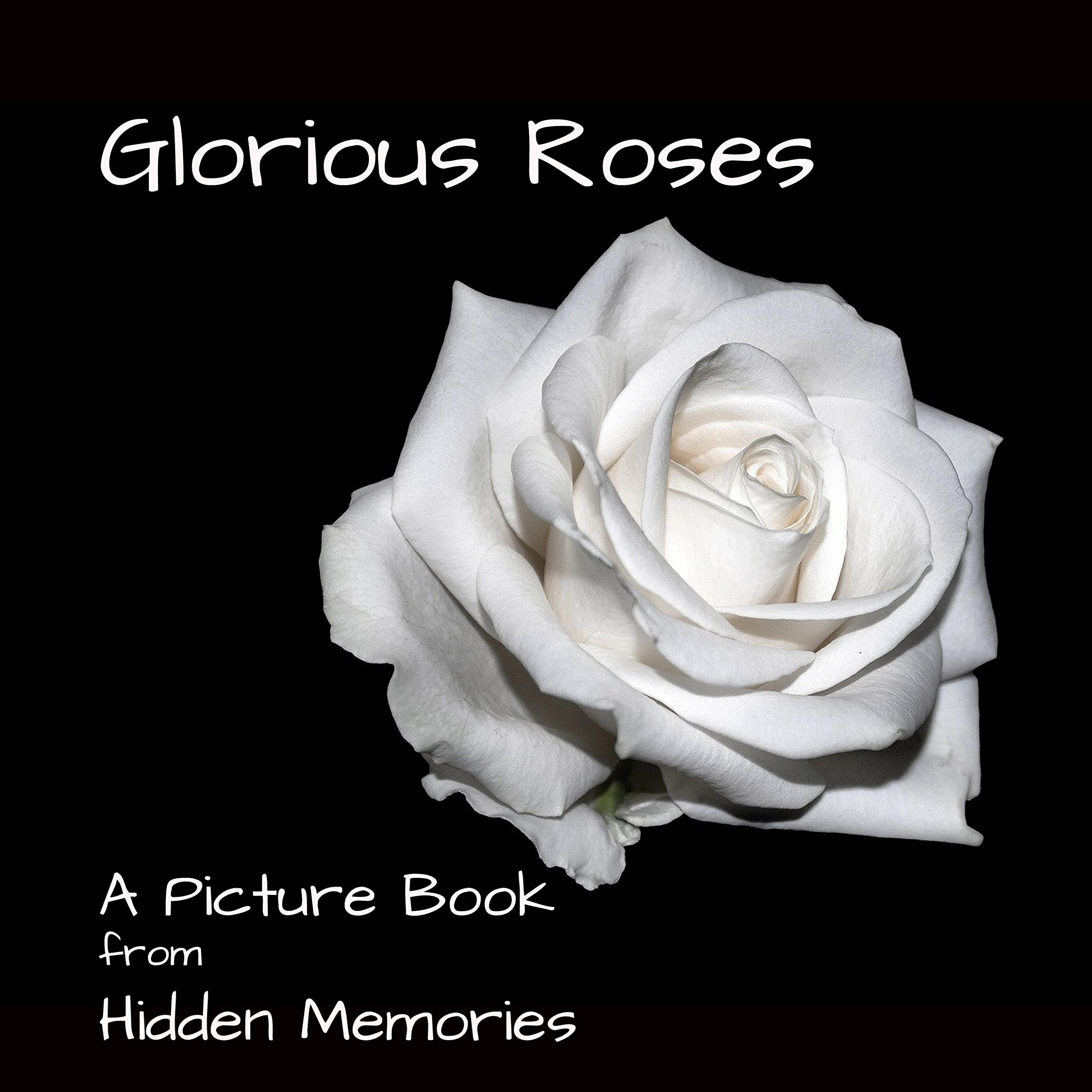 Glorious Roses: A No Text Picture Book: A Calming Gift for Alzheimer ...