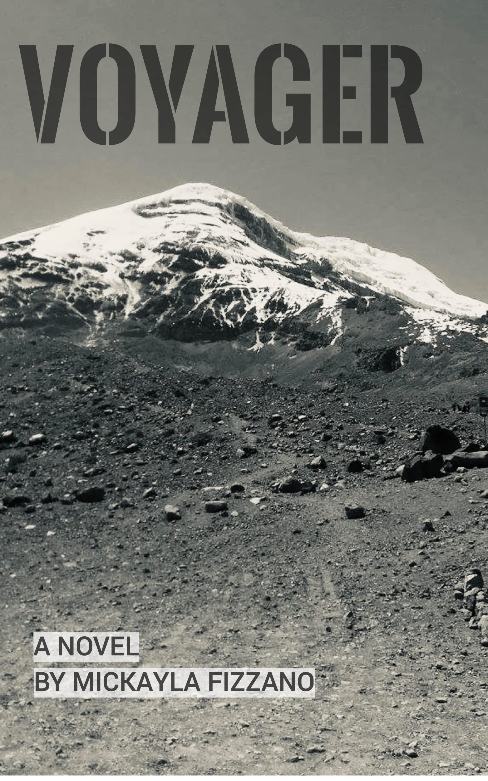 Voyager (The Voyager Trilogy) by Mickayla Fizzano | Goodreads