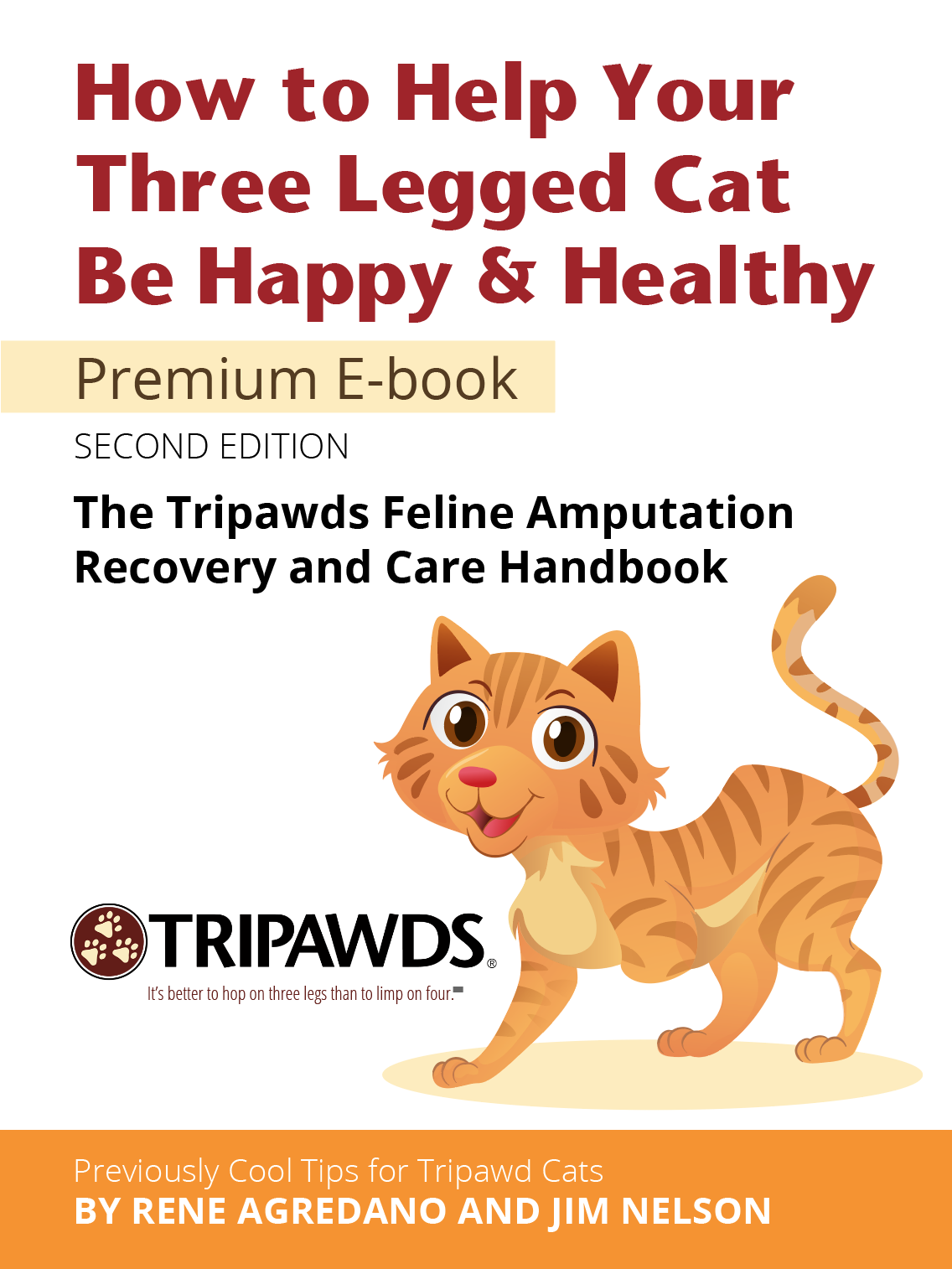 How to Help Your Three Legged Cat Be Happy & Healthy: Essentials of the ...