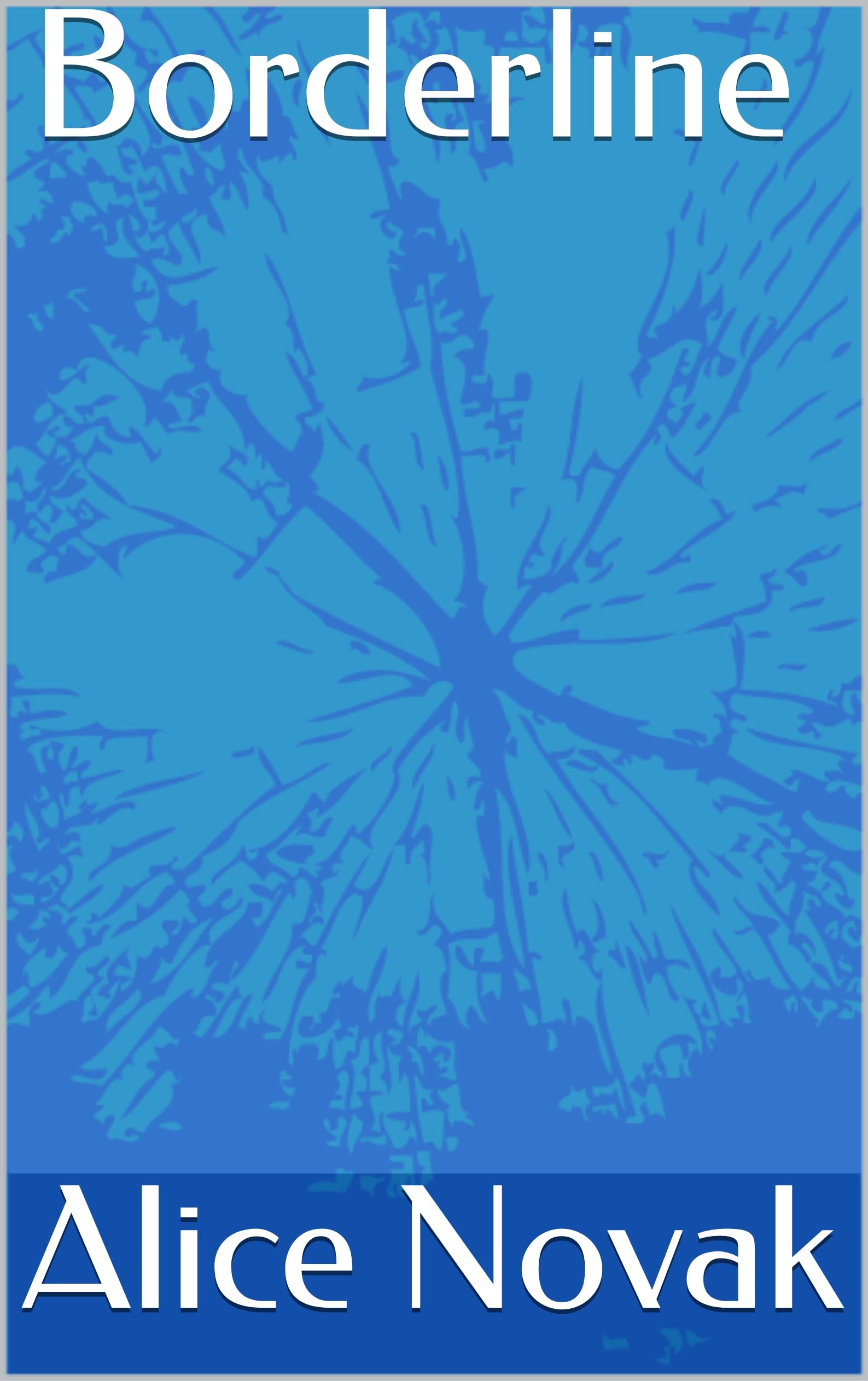 Borderline - The Secret (Borderline Series Book 2) by Alice Novak ...