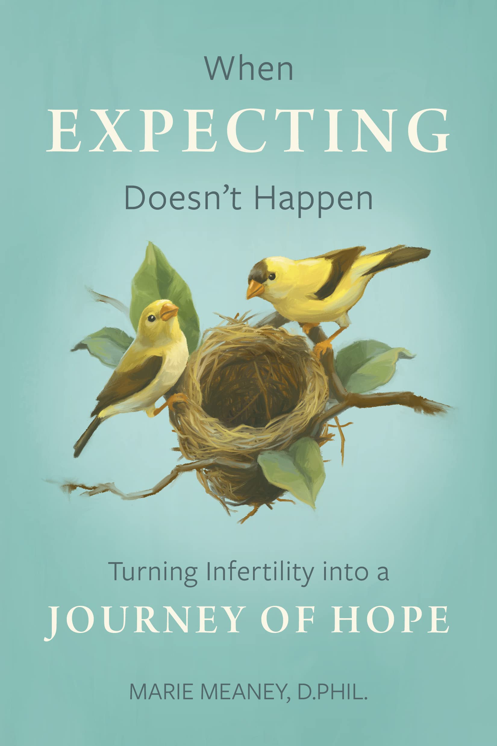 When Expecting Doesn’t Happen: Turning Infertility into a Journey of ...