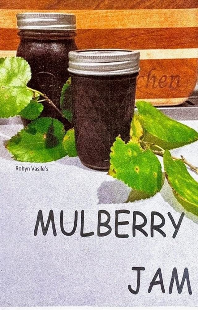 Mulberry Jam by Robyn Vasile | Goodreads