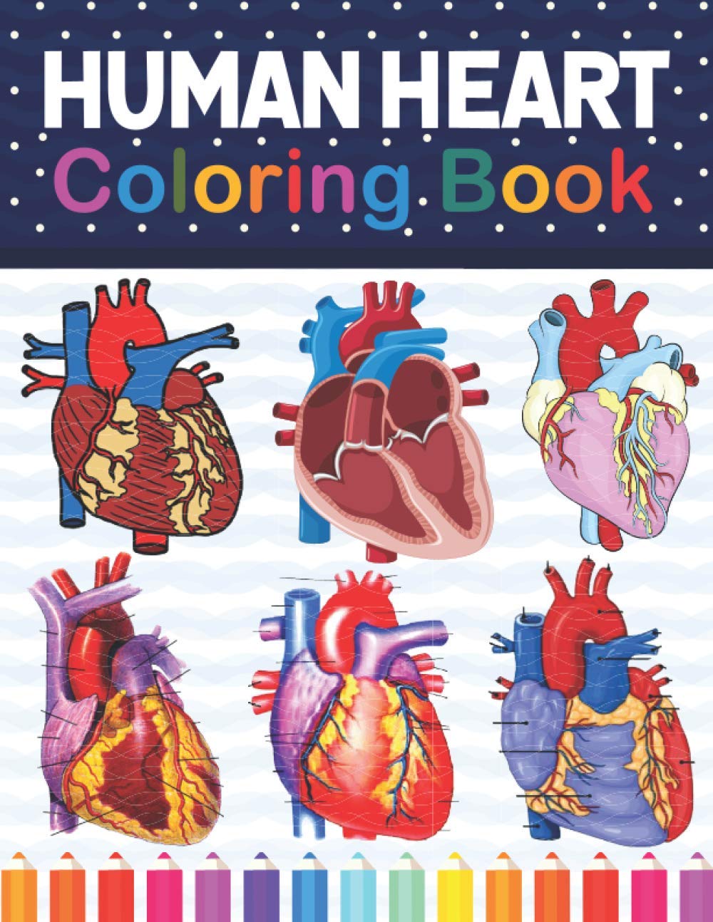 Human Heart Coloring Book: Cardiology Coloring Work book for medical ...