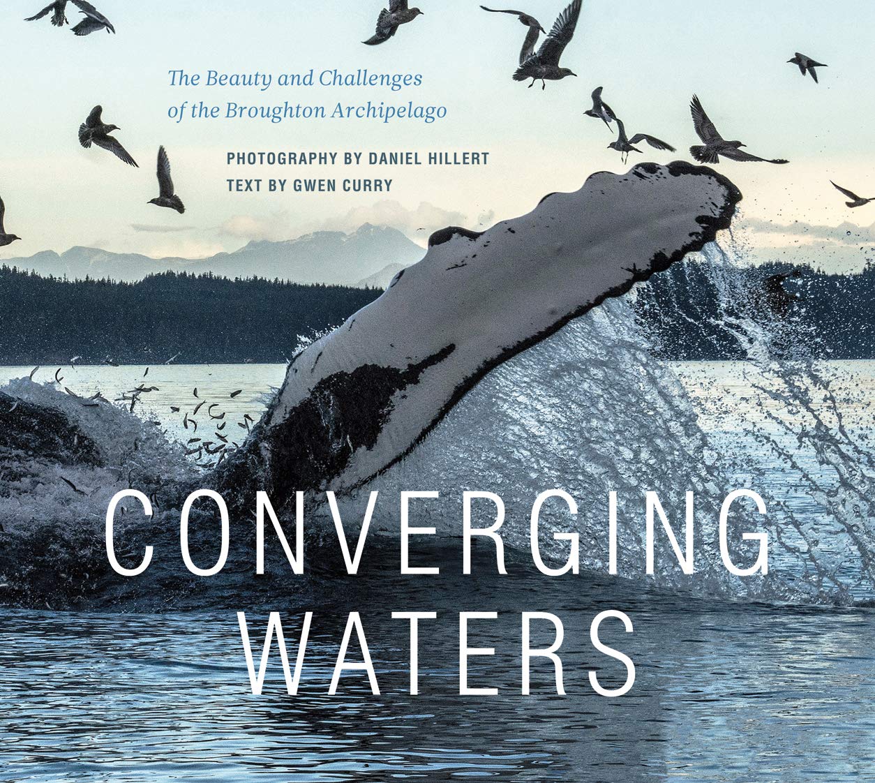 Converging Waters: The Beauty and Challenges of the Broughton ...