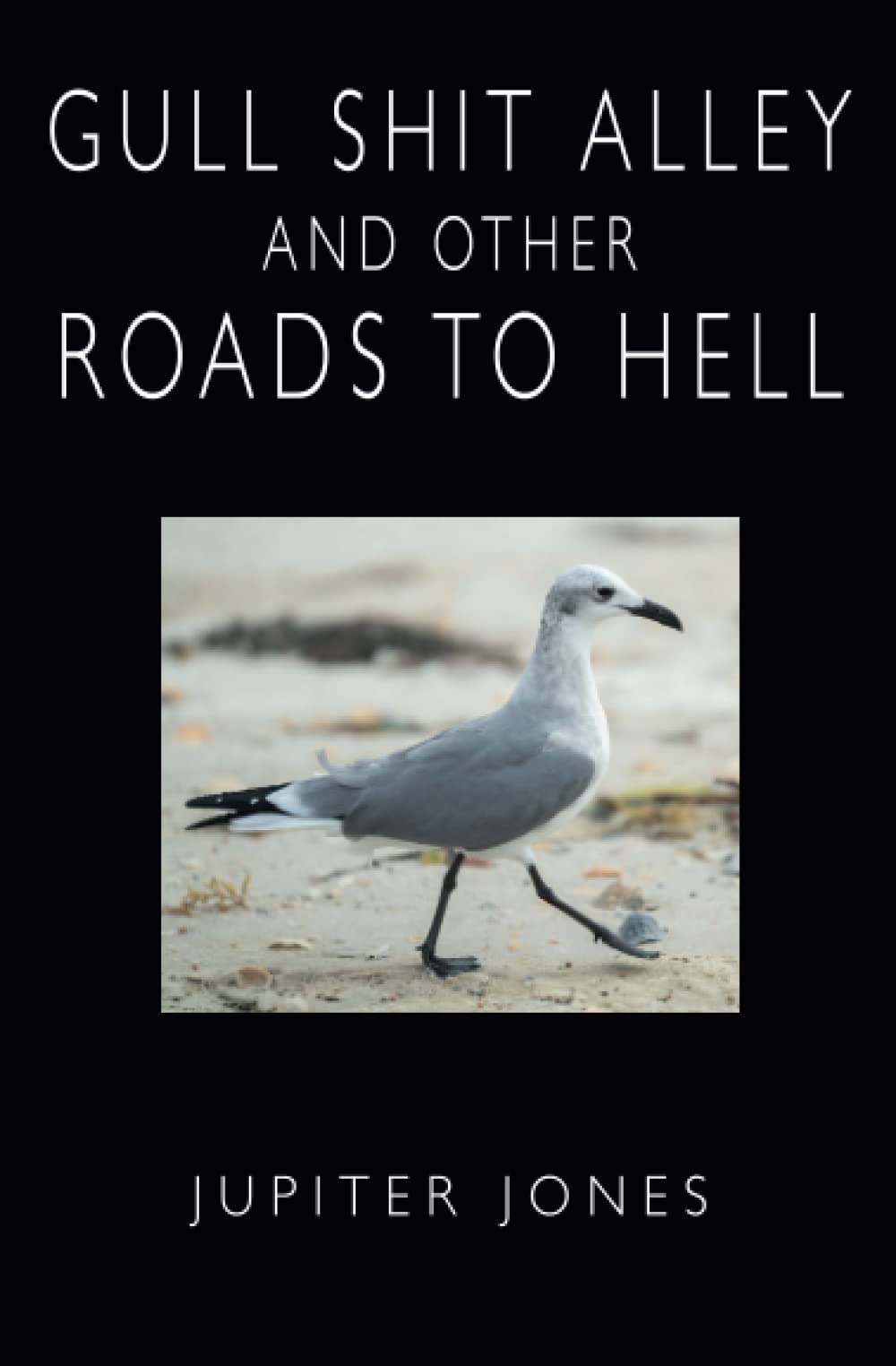 Gull Shit Alley and Other Roads to Hell by Jupiter Jones | Goodreads