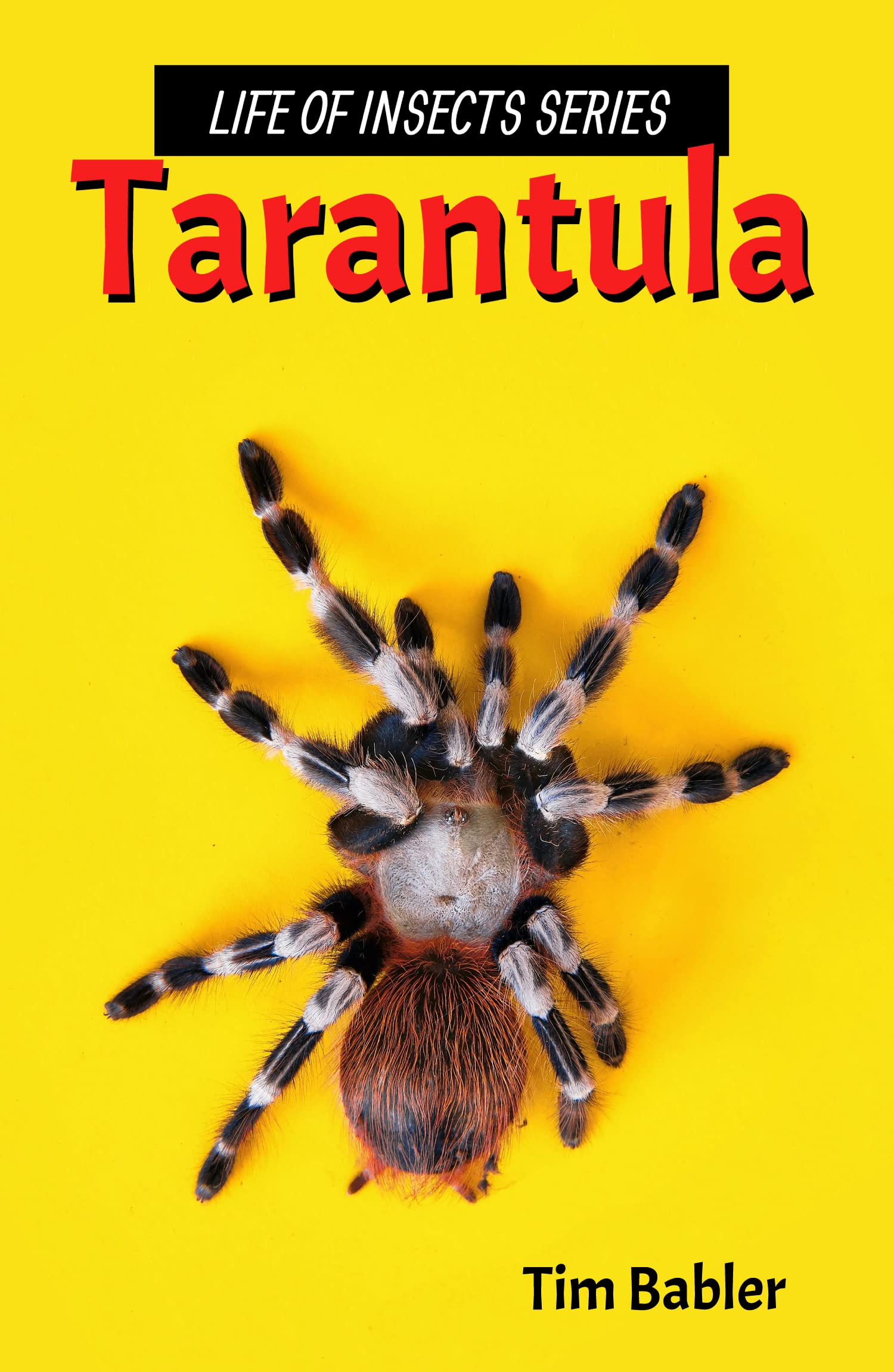 Life of Insects - Tarantula by Tim Babler | Goodreads