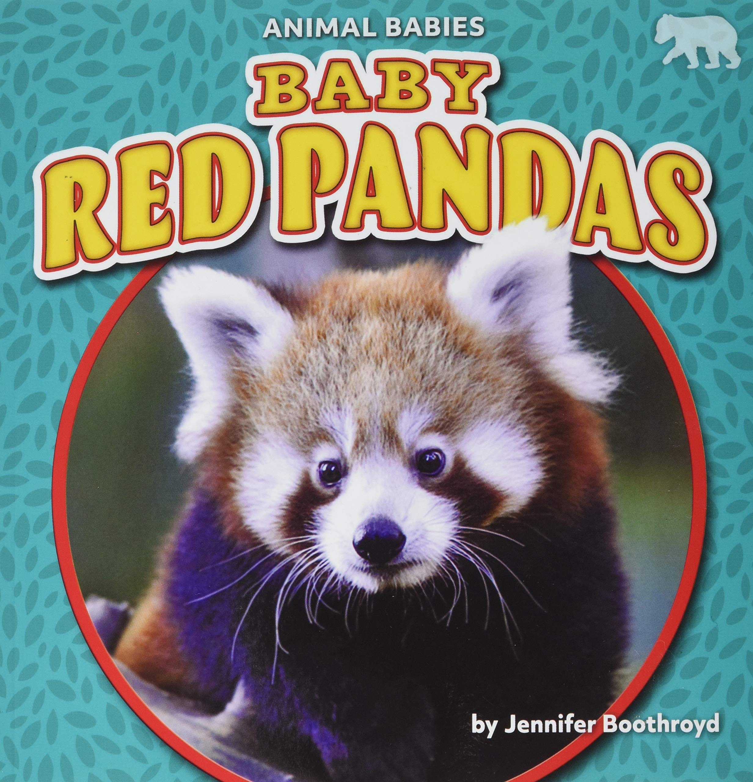 Baby Red Pandas - Nonfiction Reading for Grade 1 with Vibrant ...