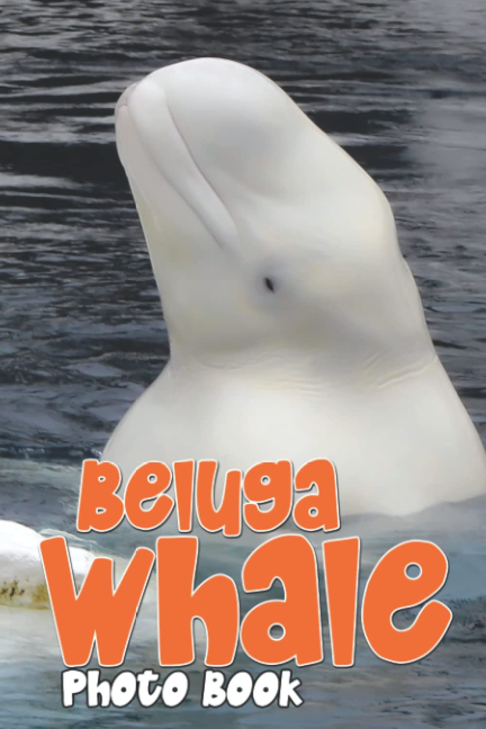 Beluga Whale Photo Book: Cute Whales Photobook for All Ages Relax ...