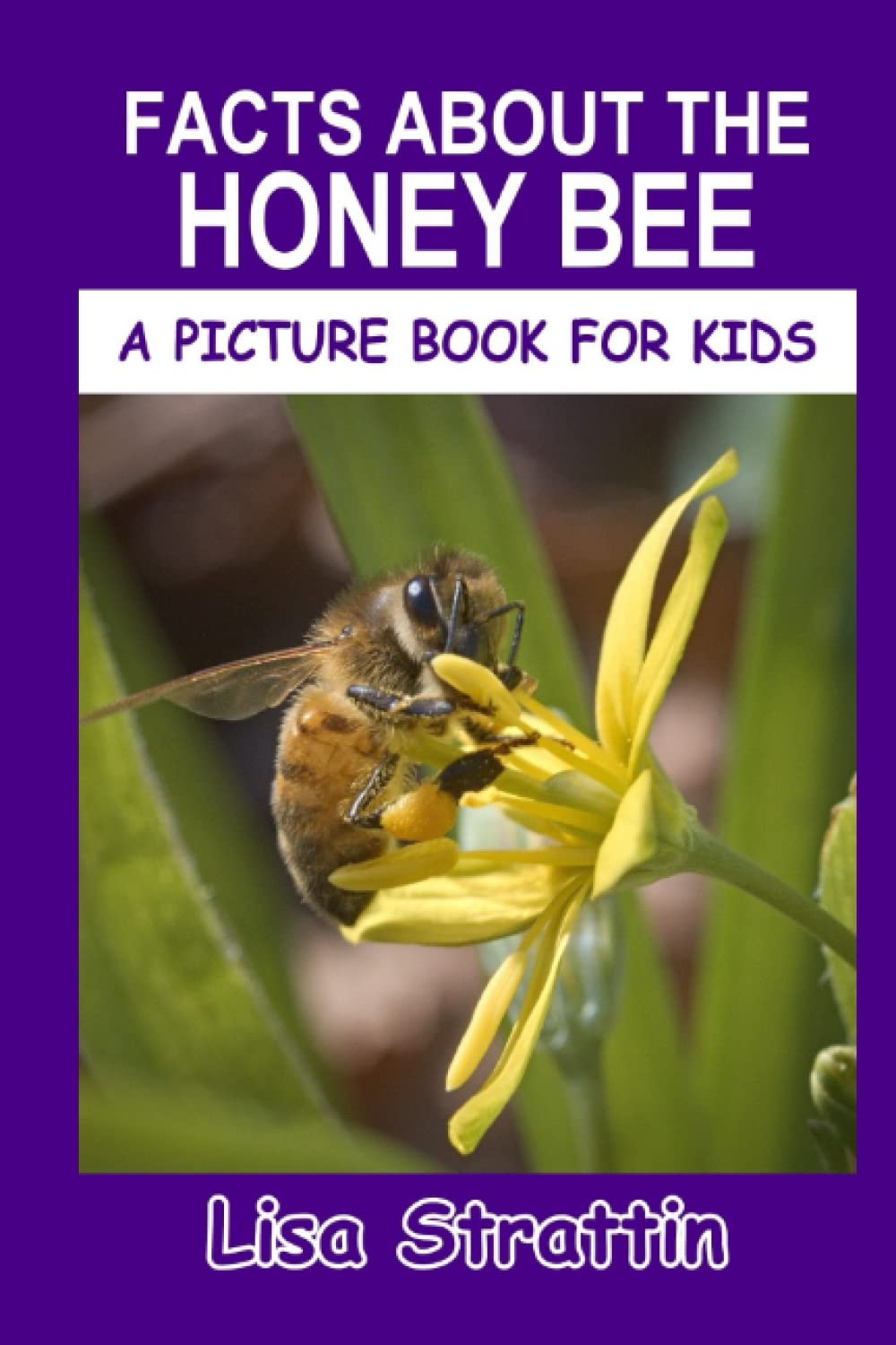 Facts About the Honey Bee (A Picture Book For Kids) by Lisa Strattin ...